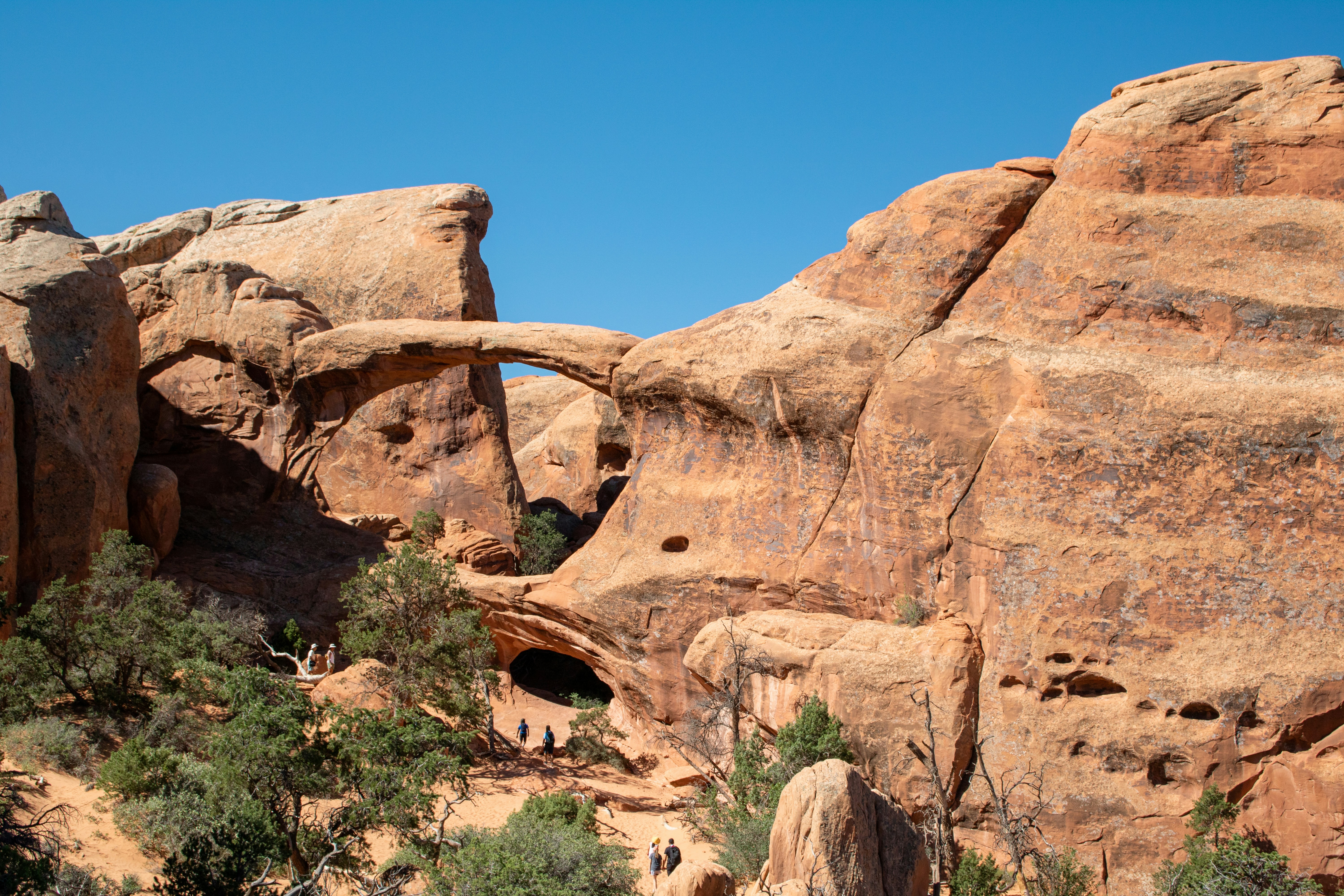 A group of people standing in the middle of a desert photo – Free Usa ...