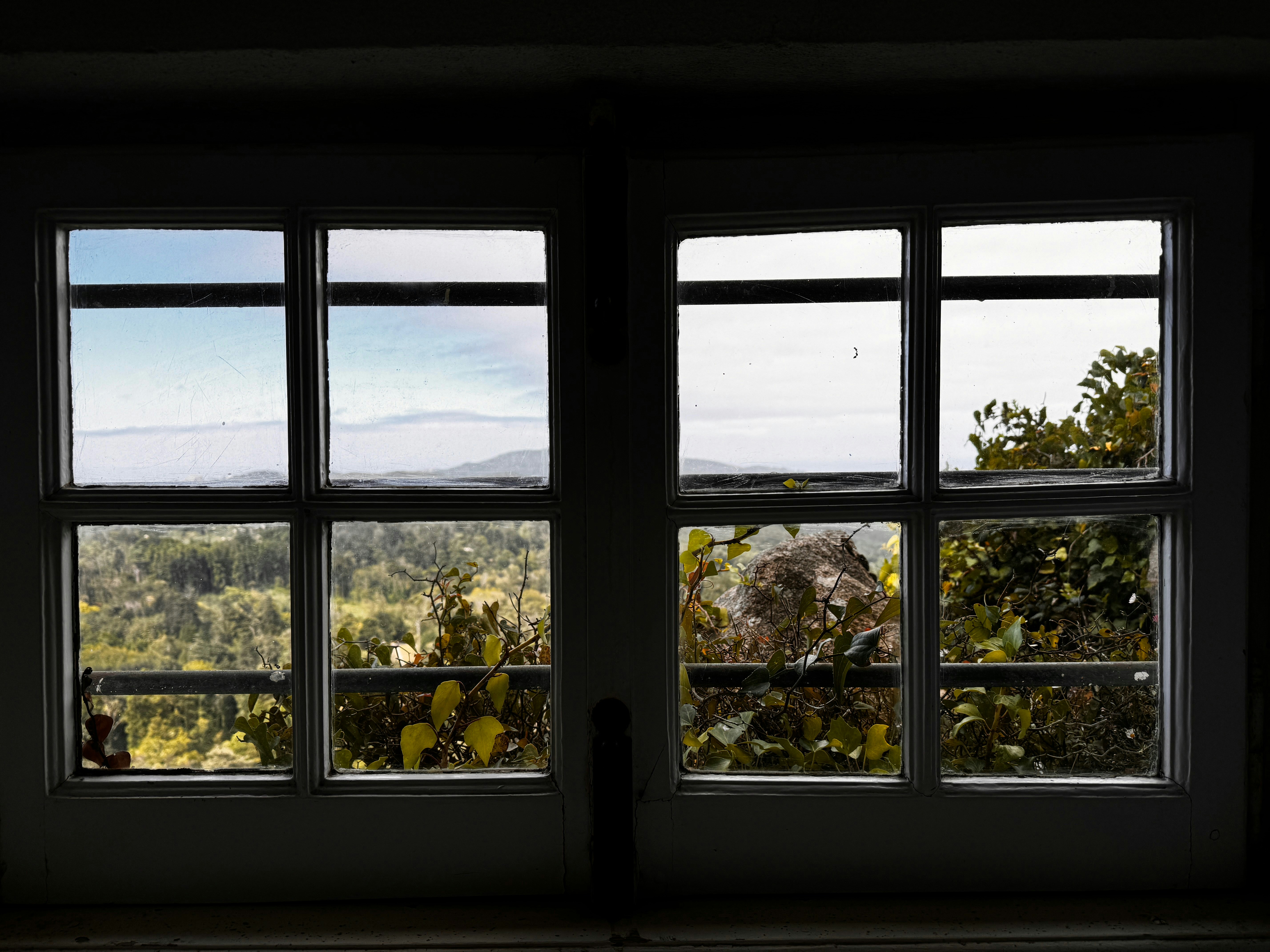 A window with a view of a forest outside photo – Free Building Image on ...