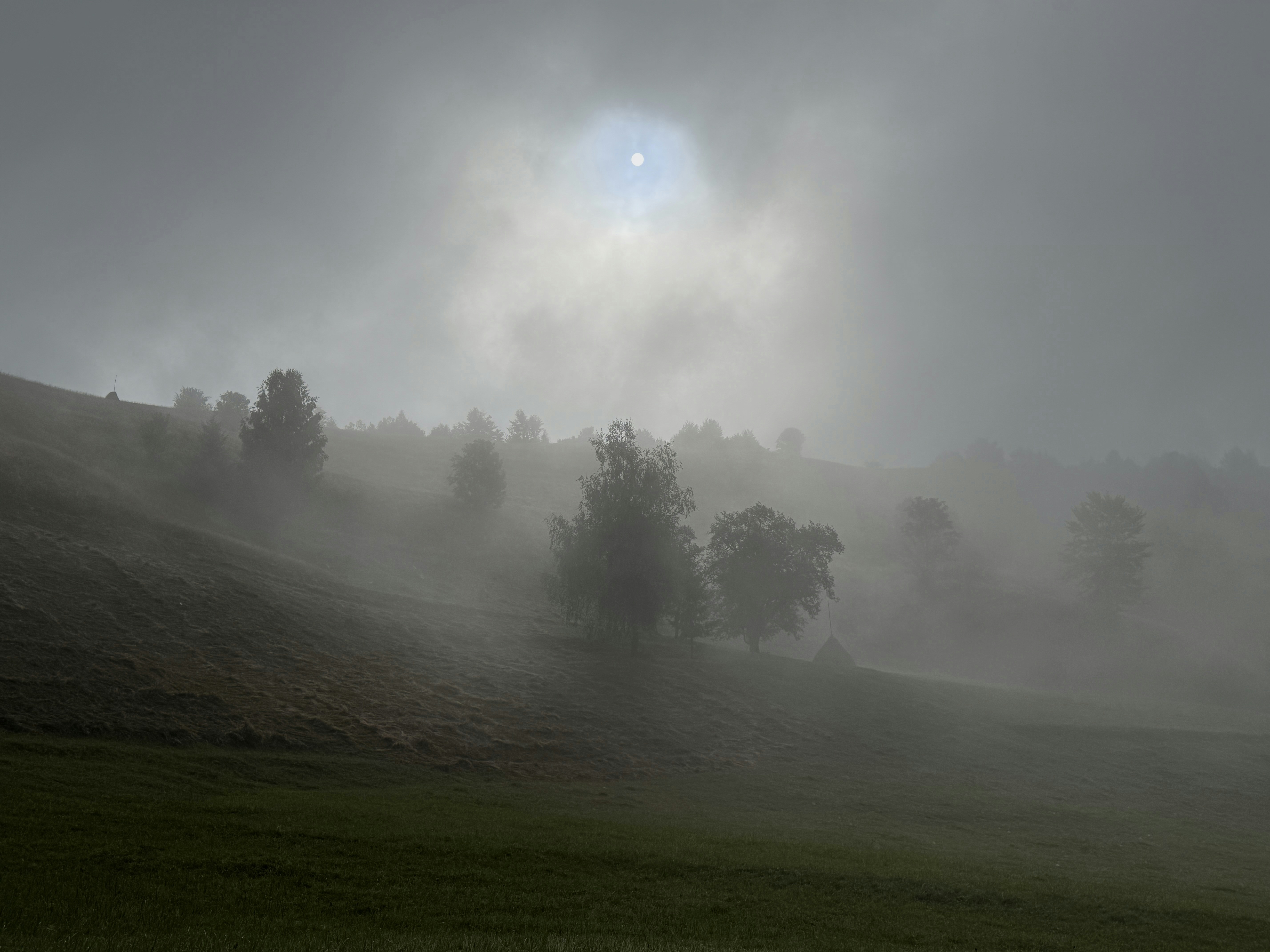 Ghostly Crest: Fog Drapes a Quiet Hillside Beneath a Pale Sun