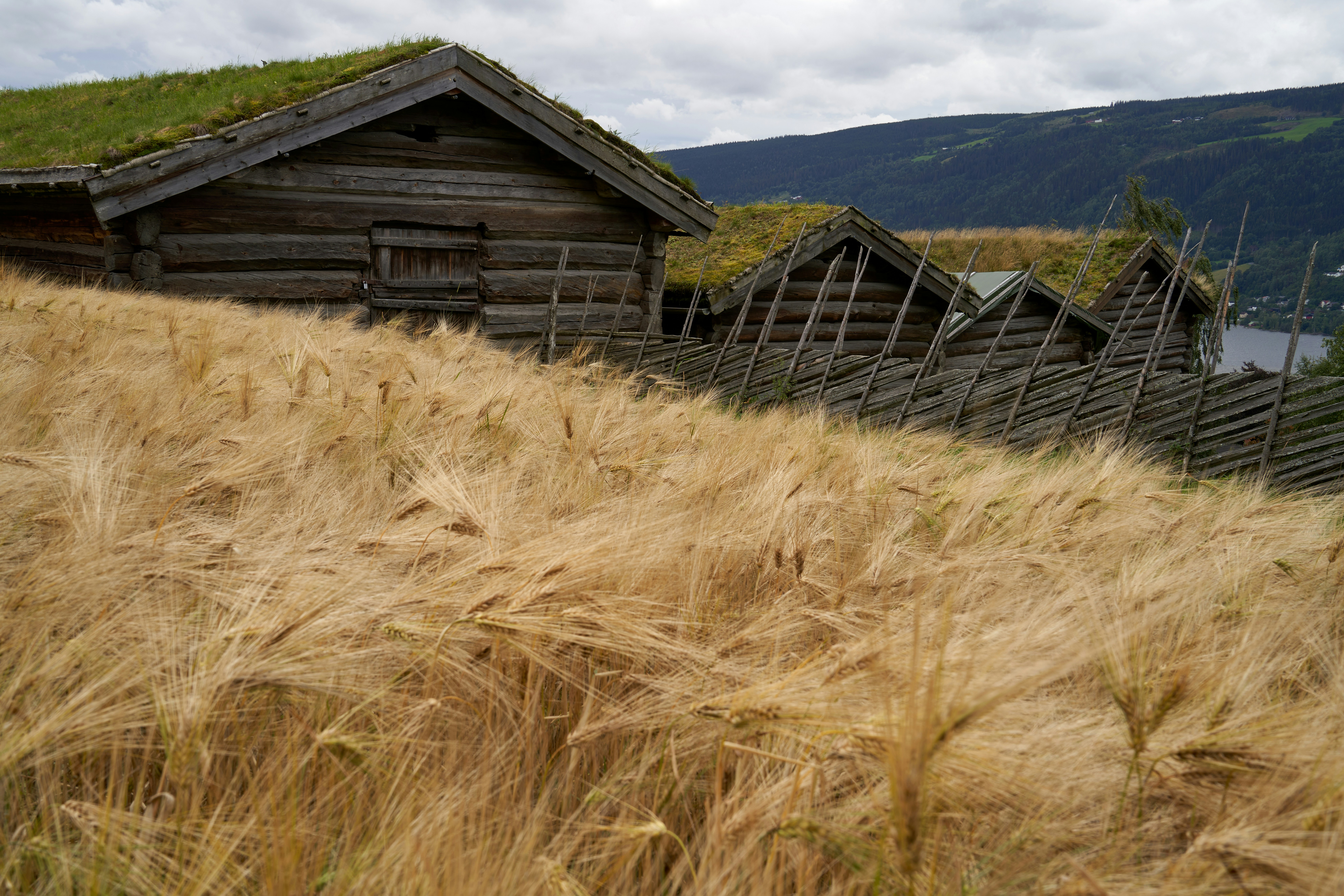 Amber Plains and Weathered Cabins Beneath a Mountain Crest