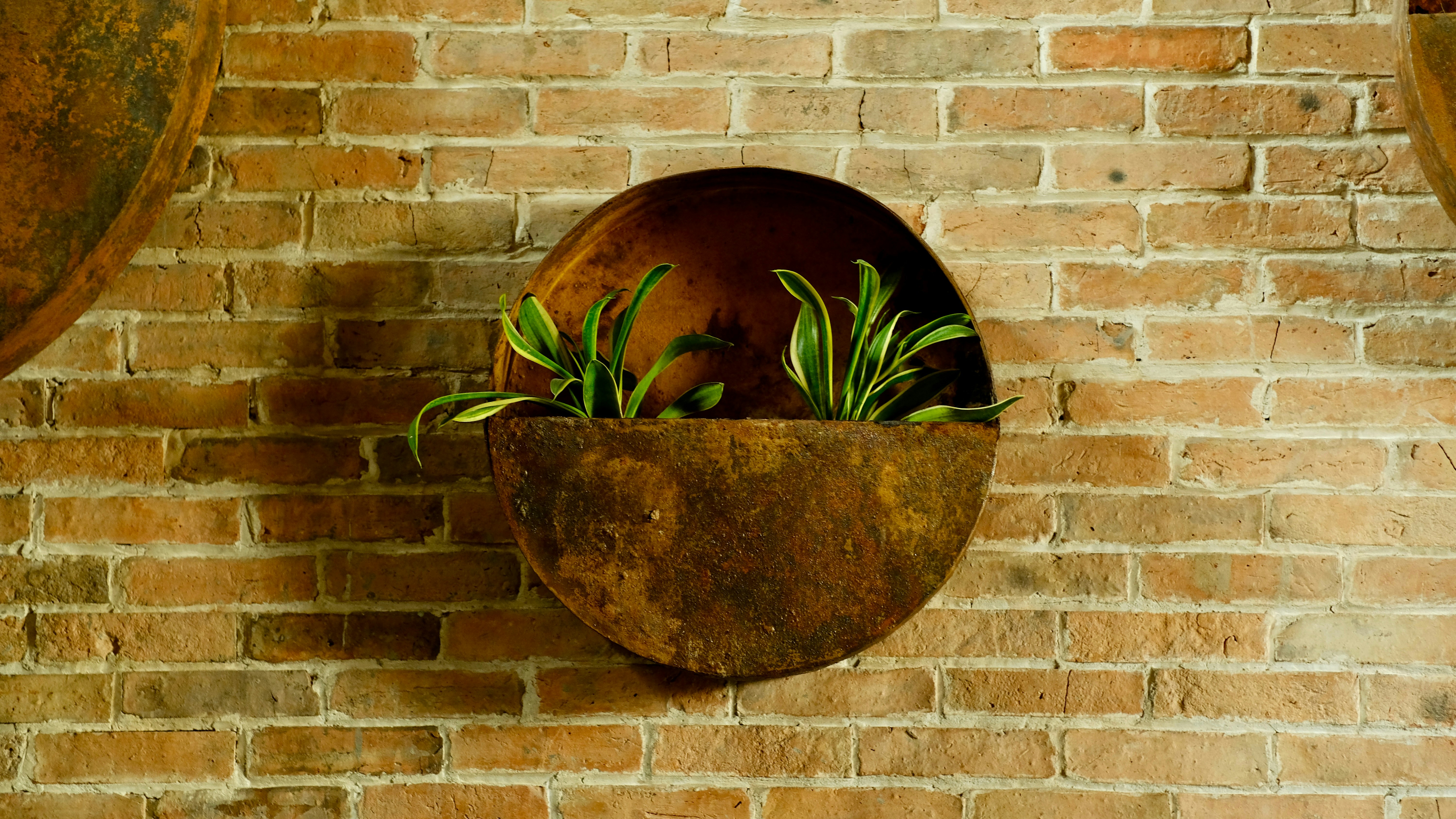 Rustic Vessel on Brick Canvas
