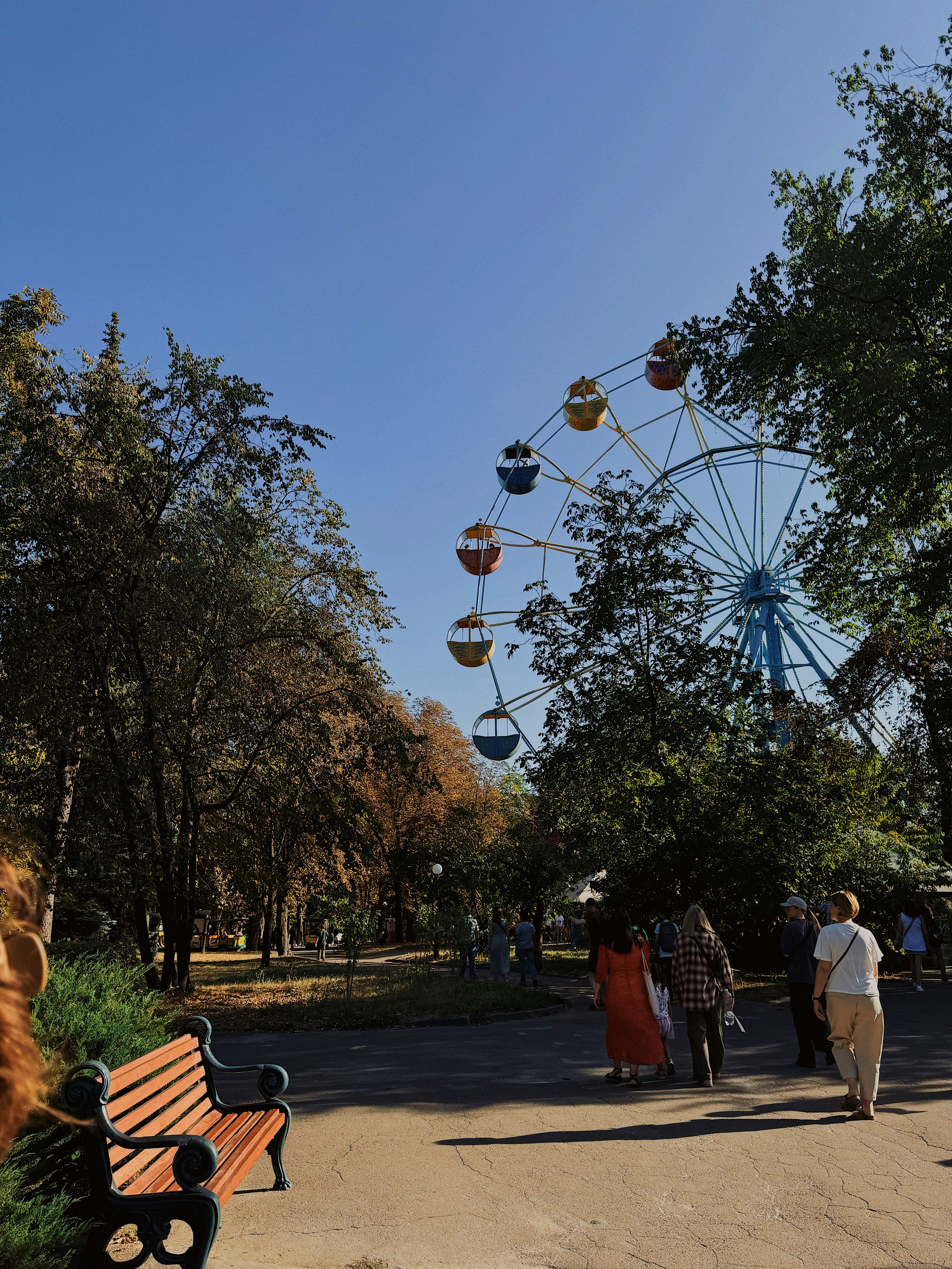 Colorful Ferris Wheel in a Sunlit Park Among Autumn-Tinted Trees