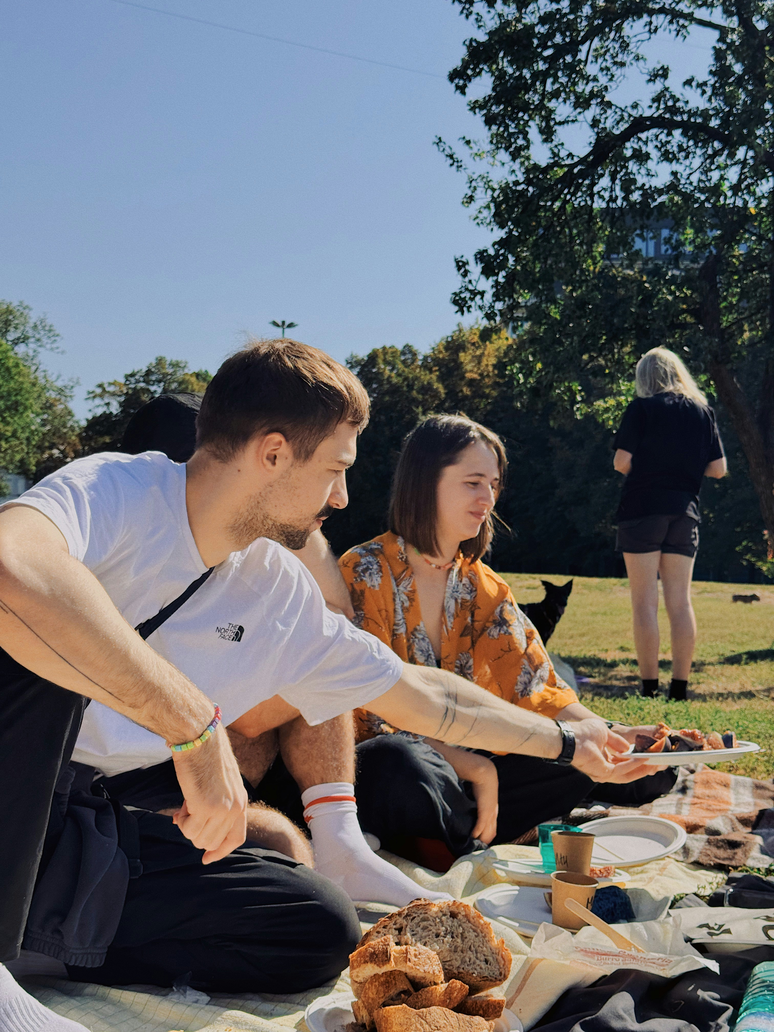 Sunlit Park Picnic: A Casual Moment of Bread, Banter, and Shared Light