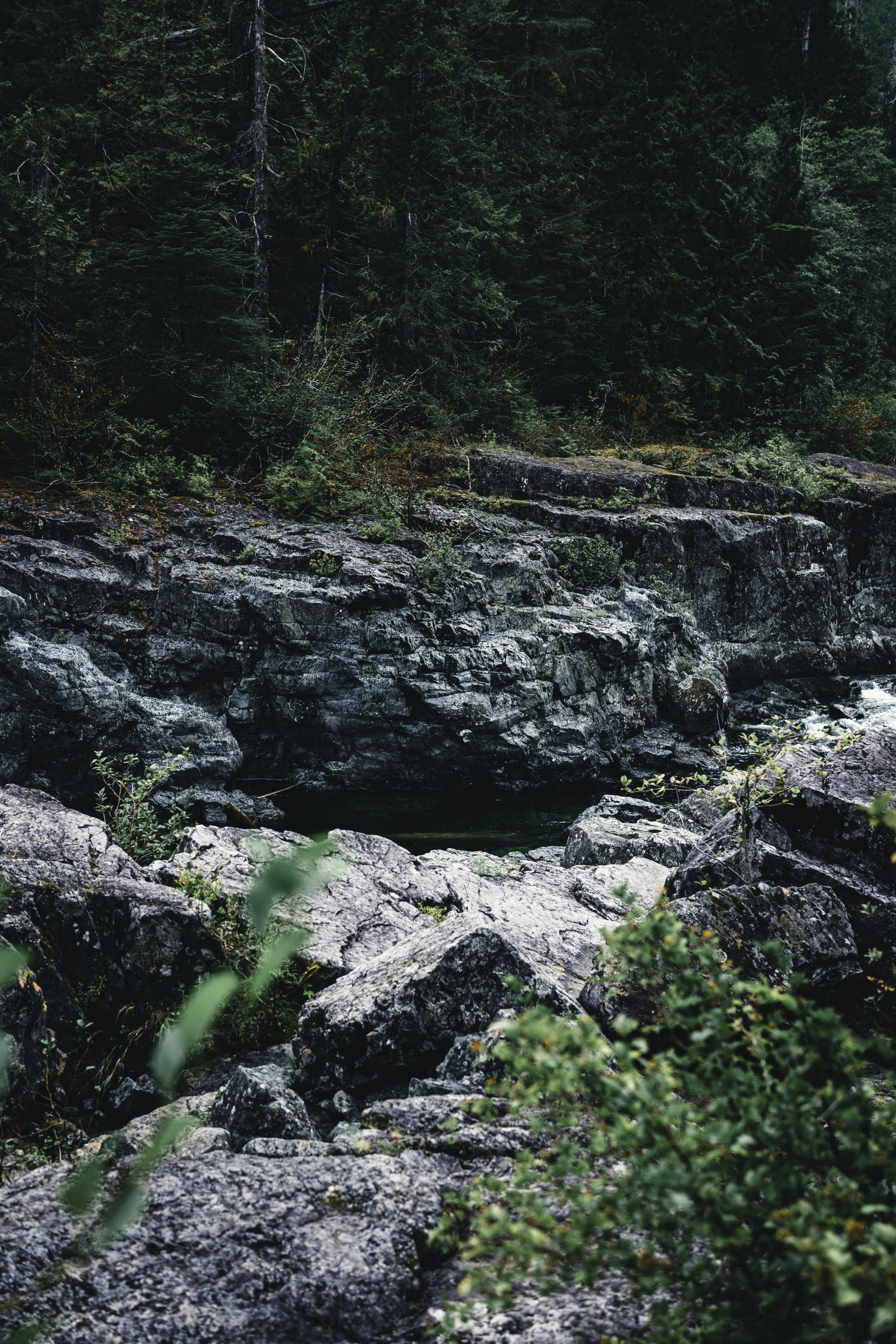 Granite Steps Amid a Green Forest Riverbed