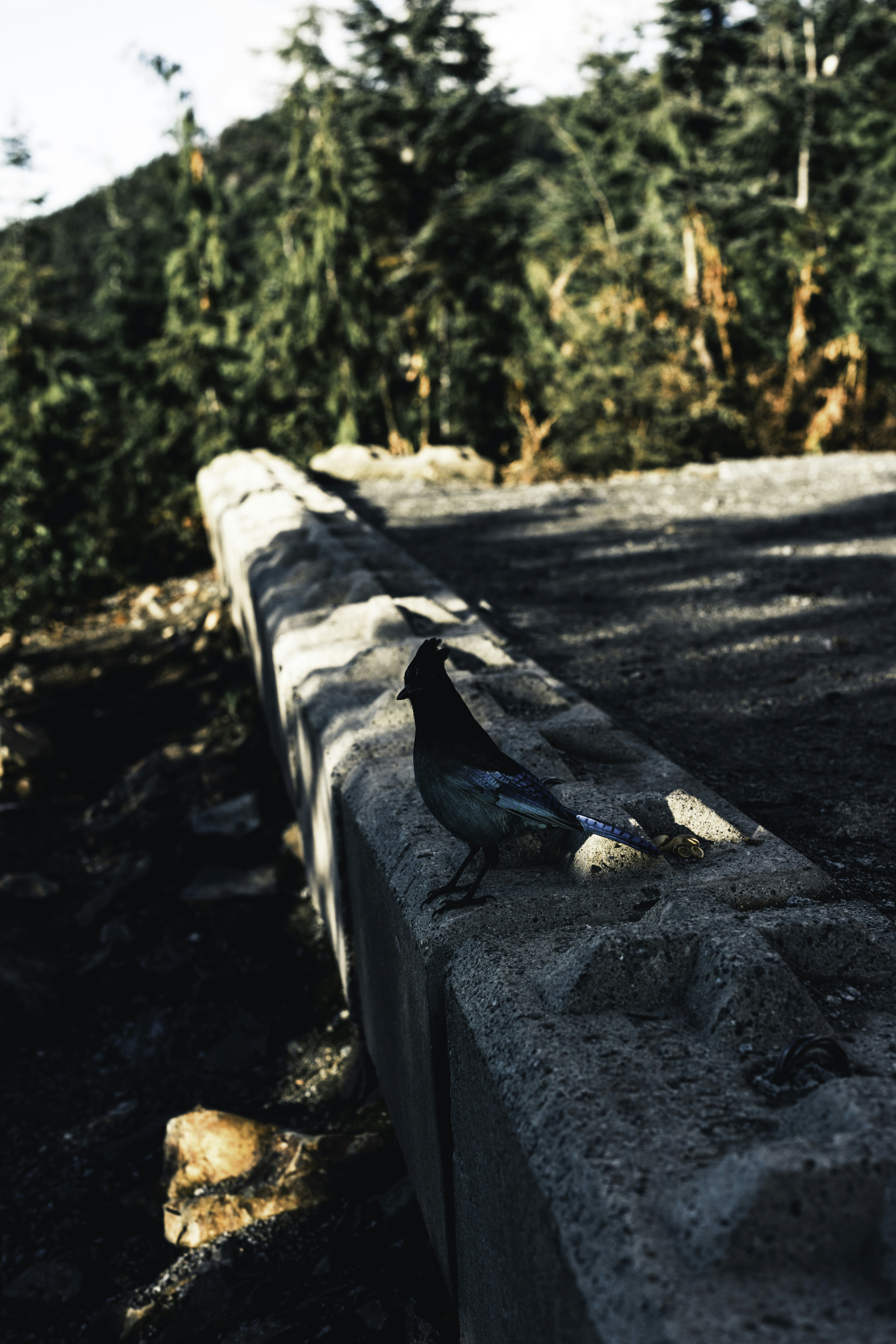 Turquoise Moment on a Weathered Bridge Rail