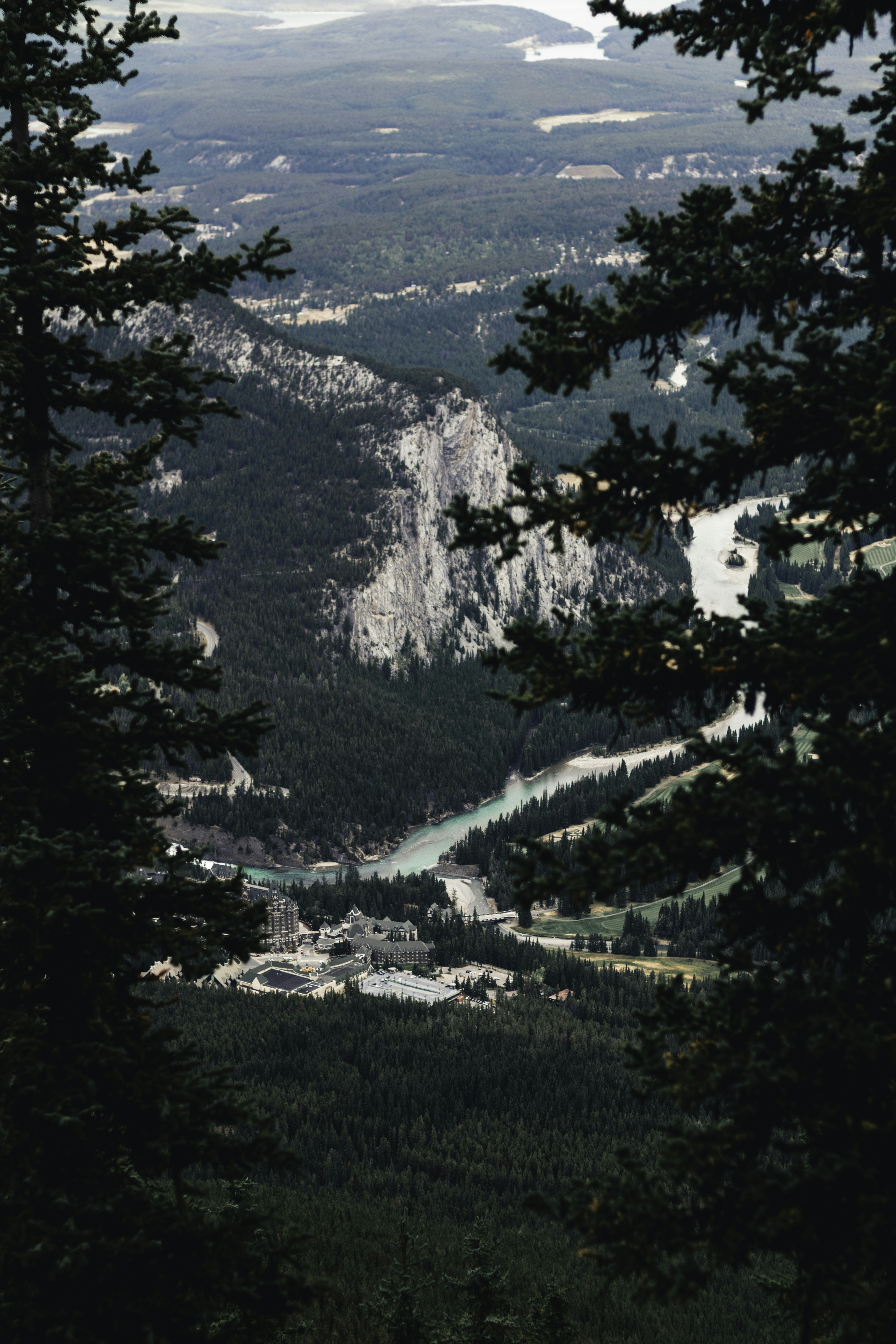 Turquoise Ribbon Between Granite Giants, Framed by Pine Fronds