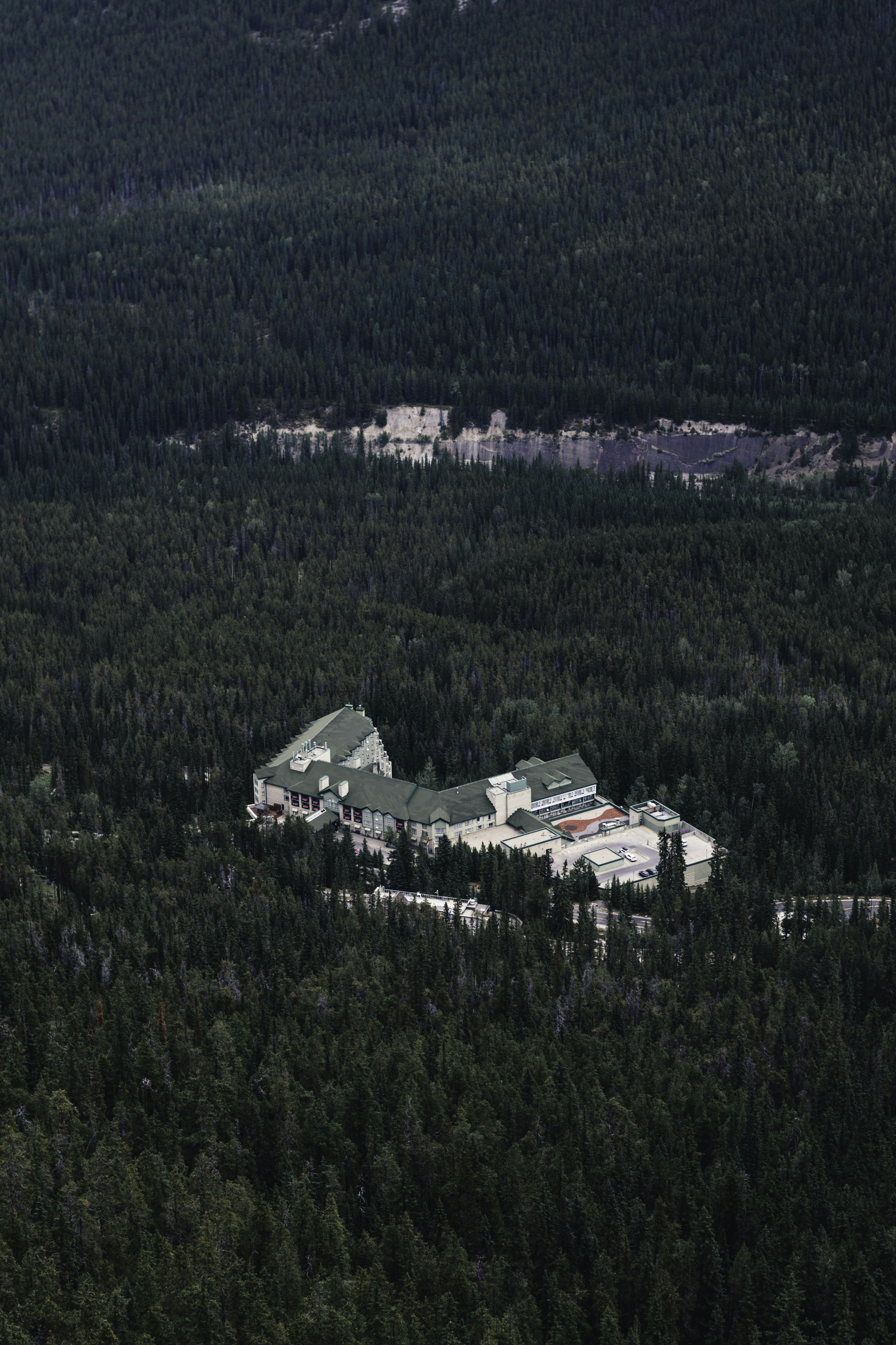 Pine-Whispered Lodge: A Green-Roof Retreat Hidden in the Pines