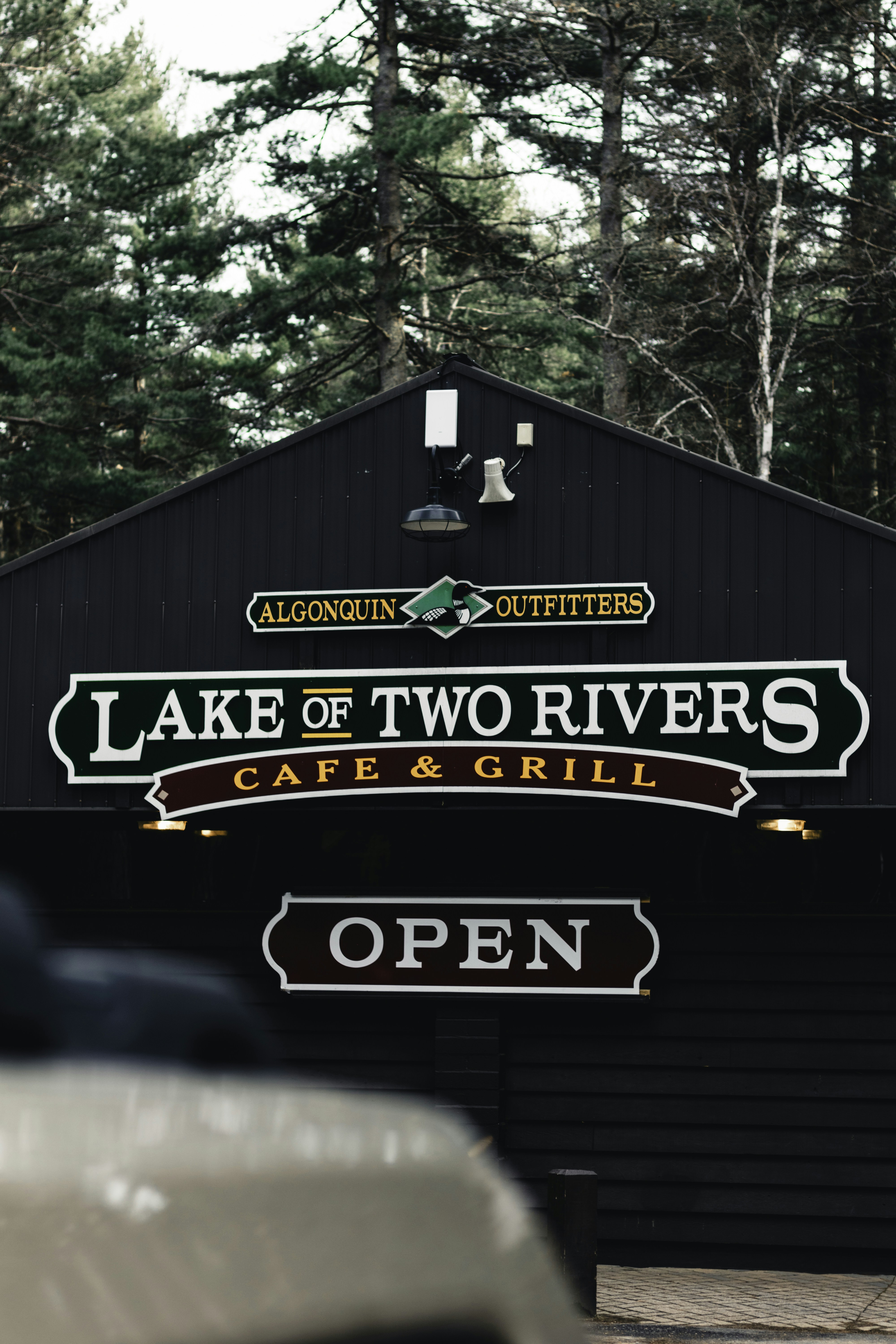 Surprise Visit to Algonquin