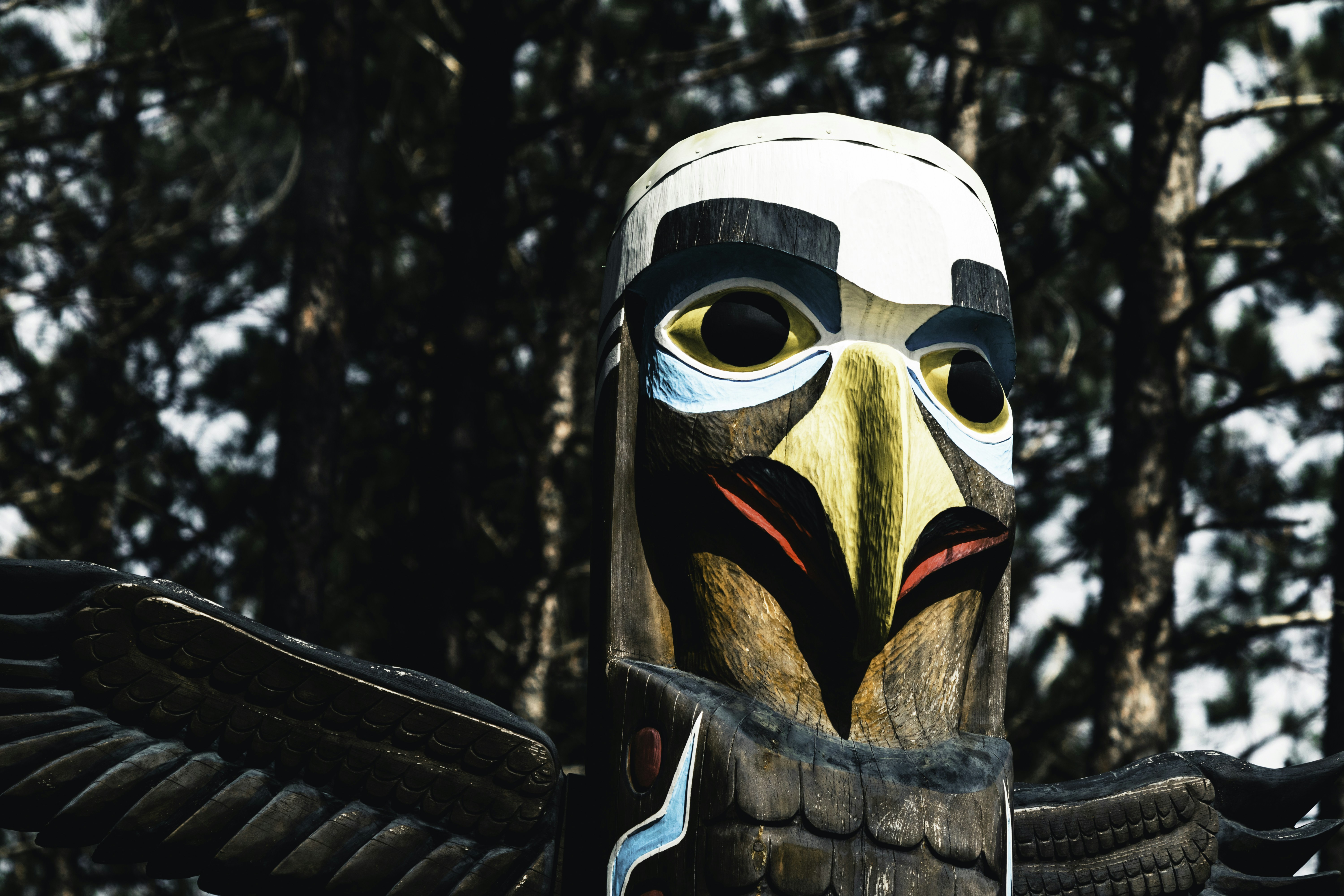 Gold-Eyed Sentinel: Painted Eagle Totem Framed by Pines