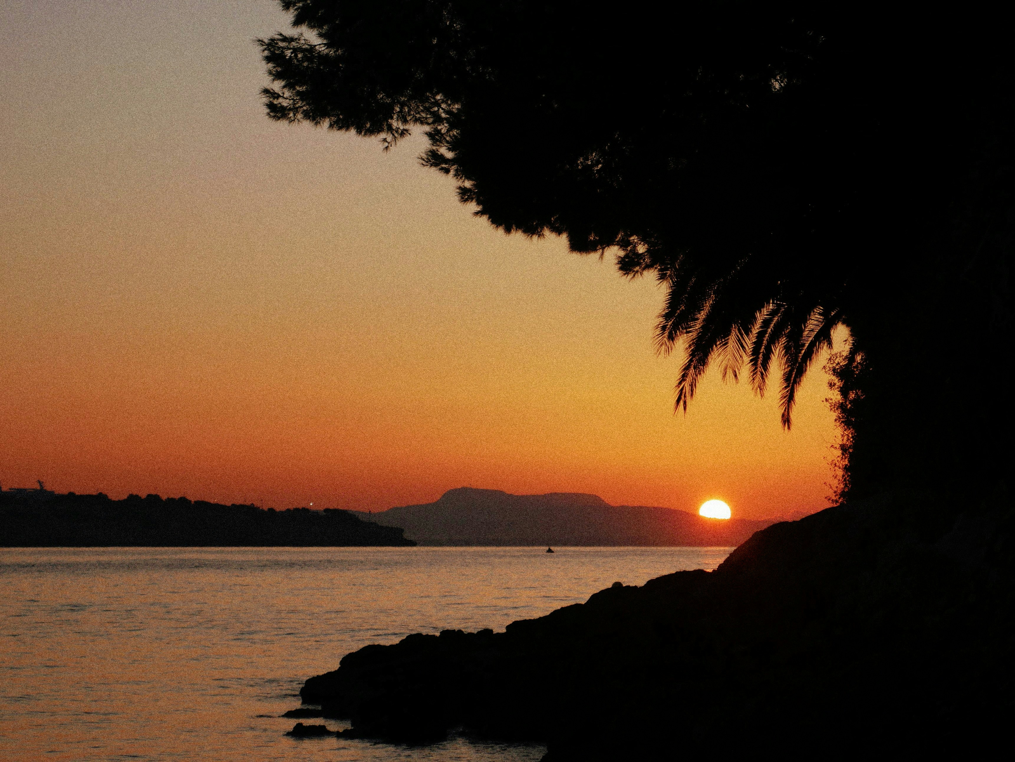 Silhouette of palm trees and rocky shoreline against a vibrant sunset over calm waters.