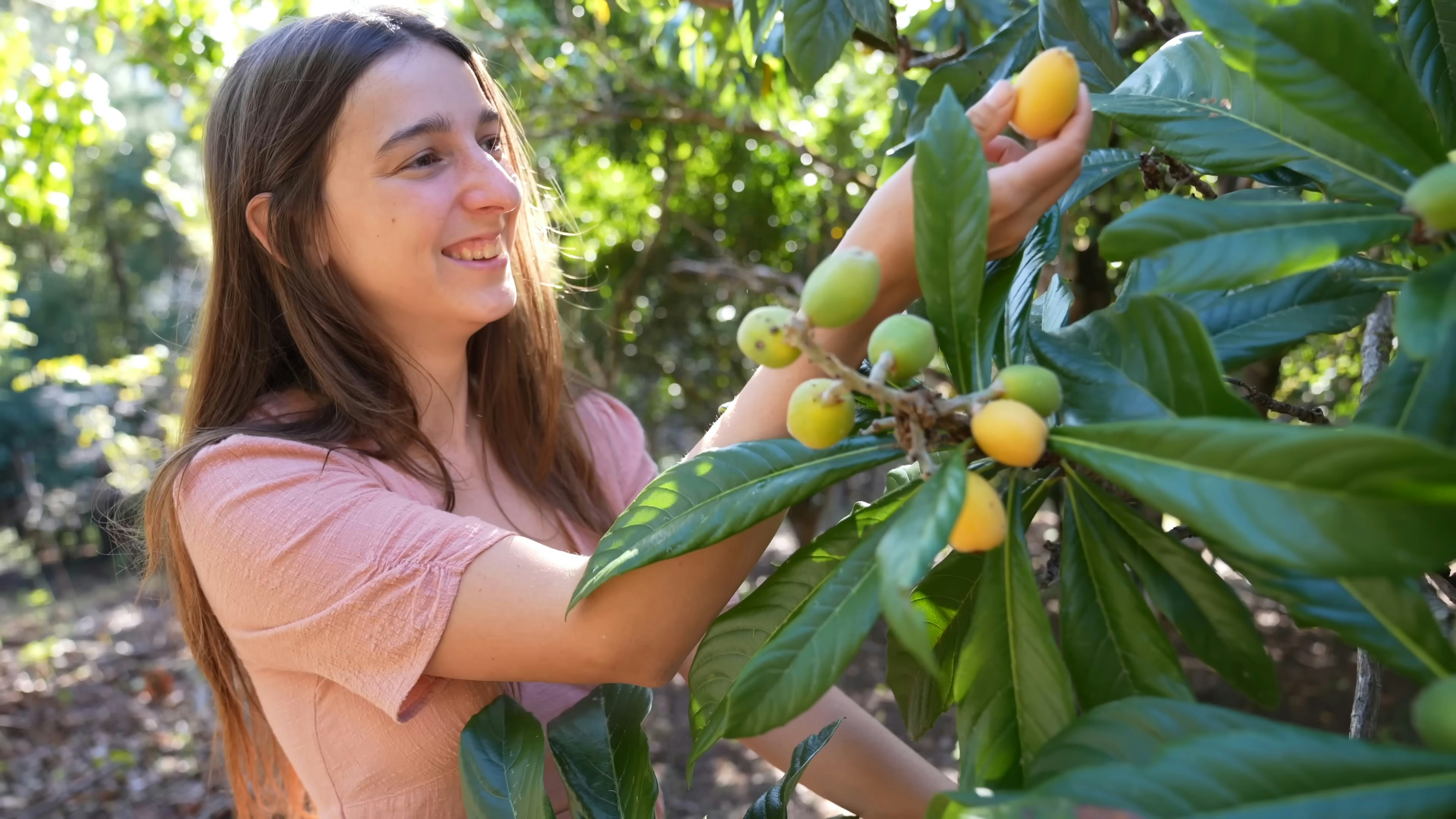 A woman picking fruit off of a tree photo – Free Girl Image on Unsplash