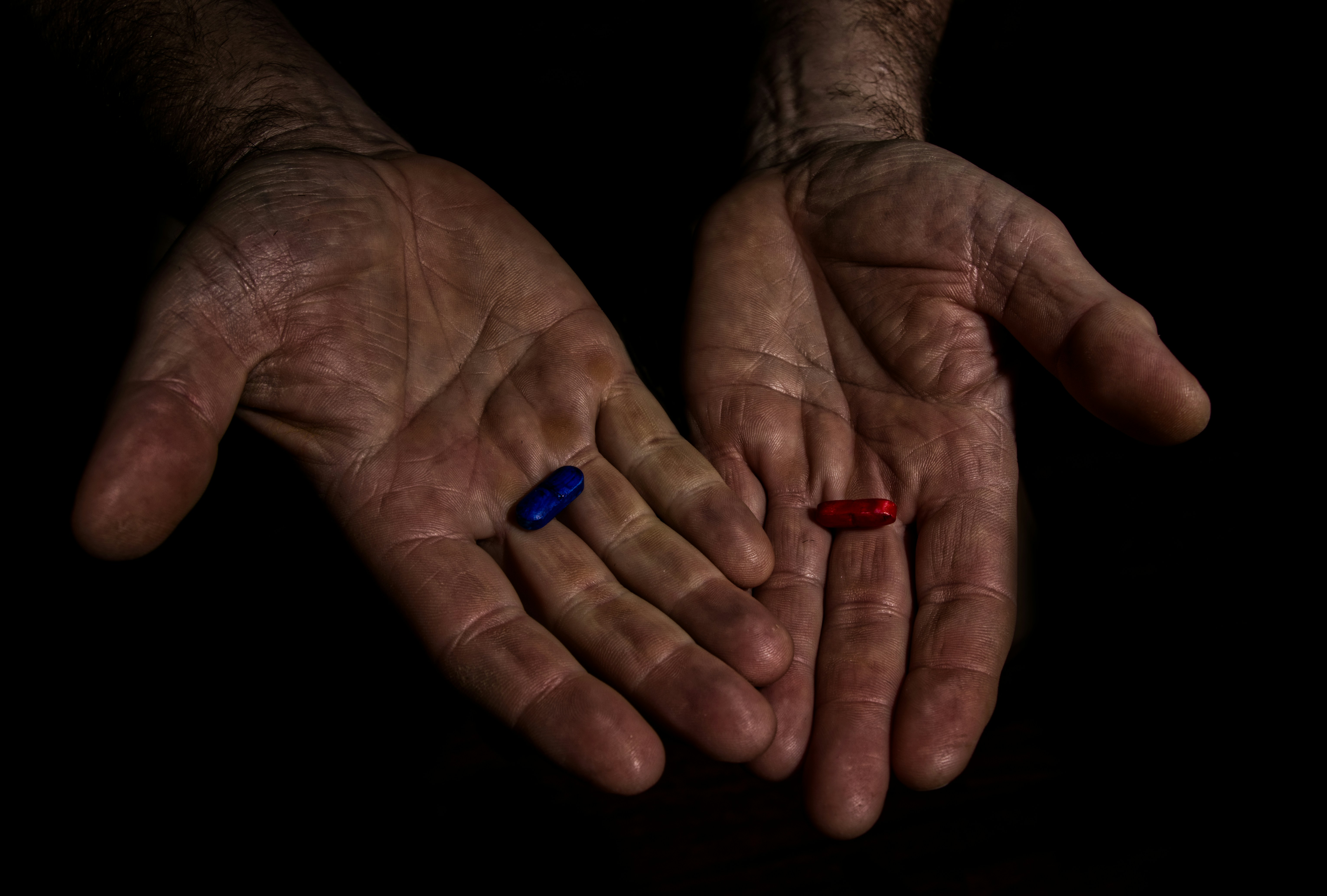 The Choice to Be Free - by Maeve Lee