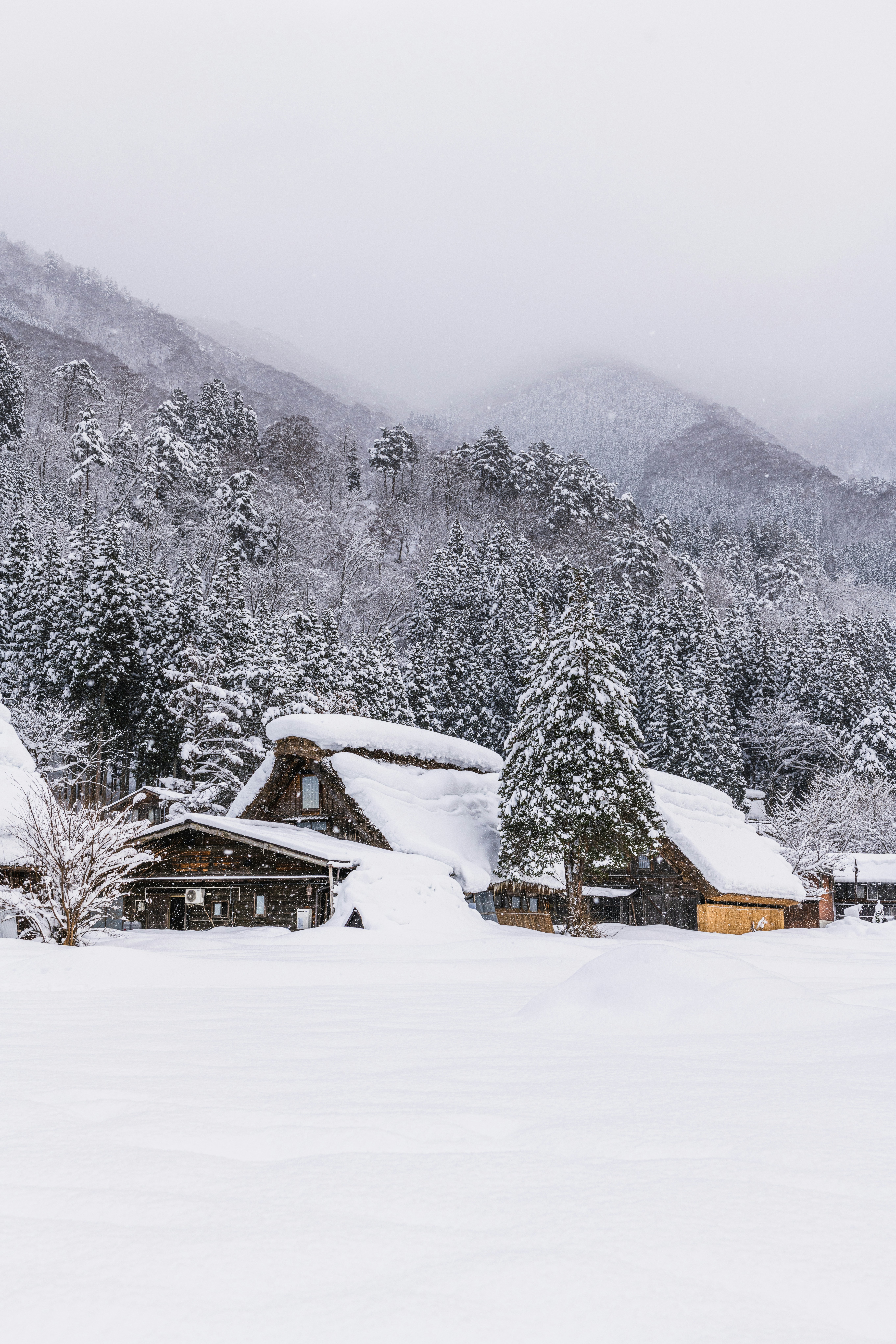Photo by Hyungman Jeon with Nikon D850