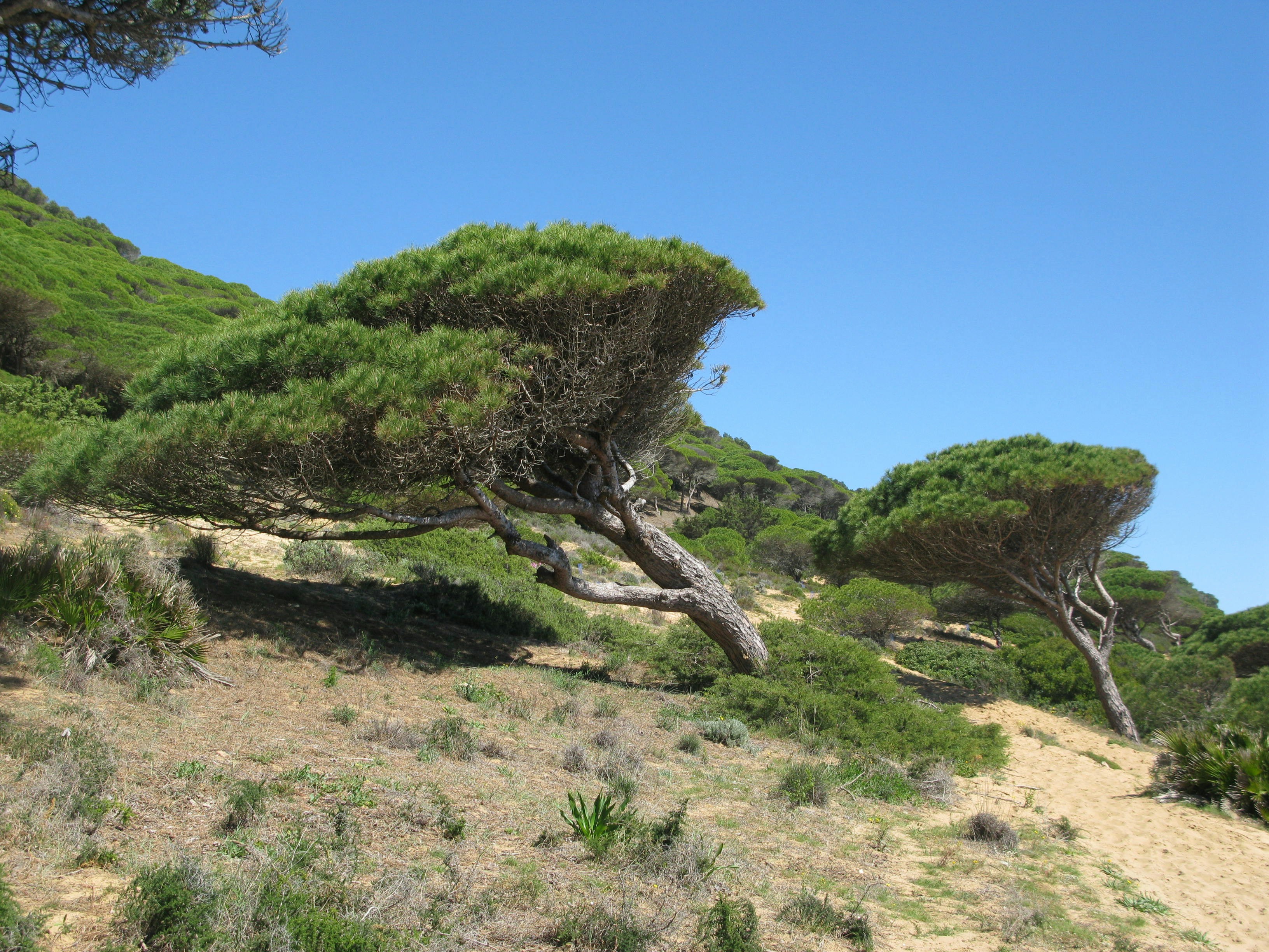 Photo by Anne Middelkamp with Canon PowerShot G9