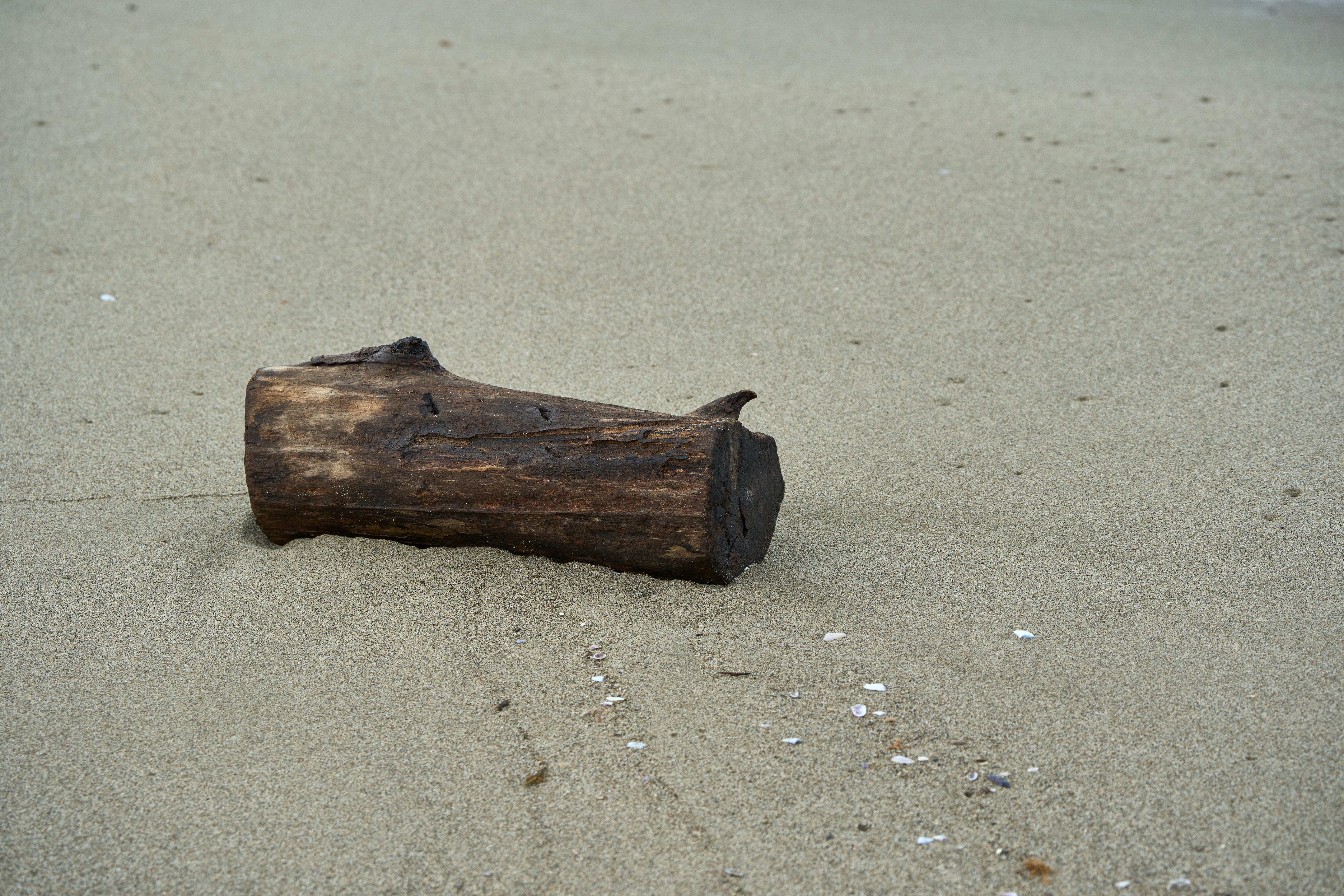 Photo by Wolfgang Hasselmann with Sony Alpha 7 IV