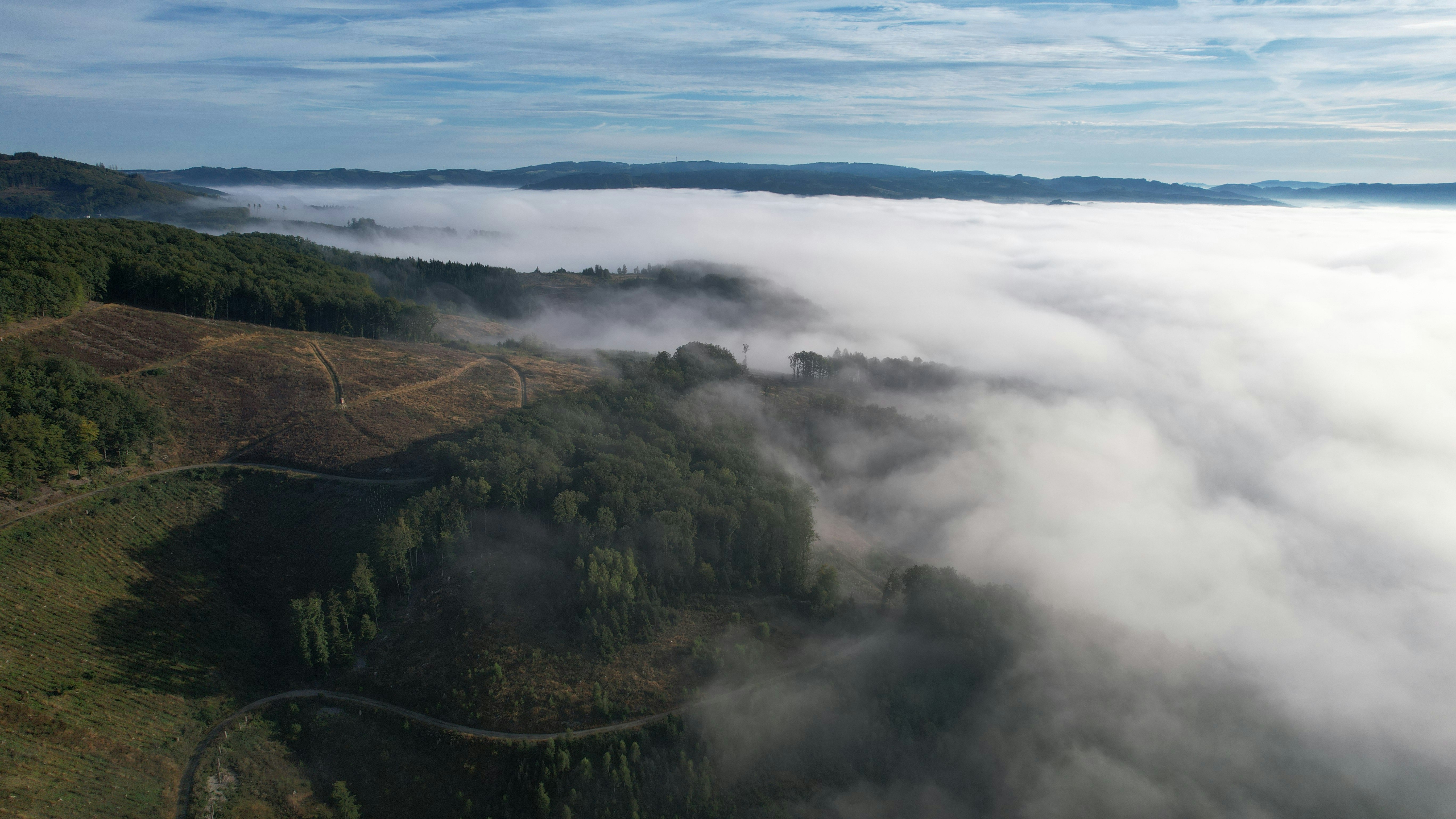 Photo by Mori M with DJI Air 2S