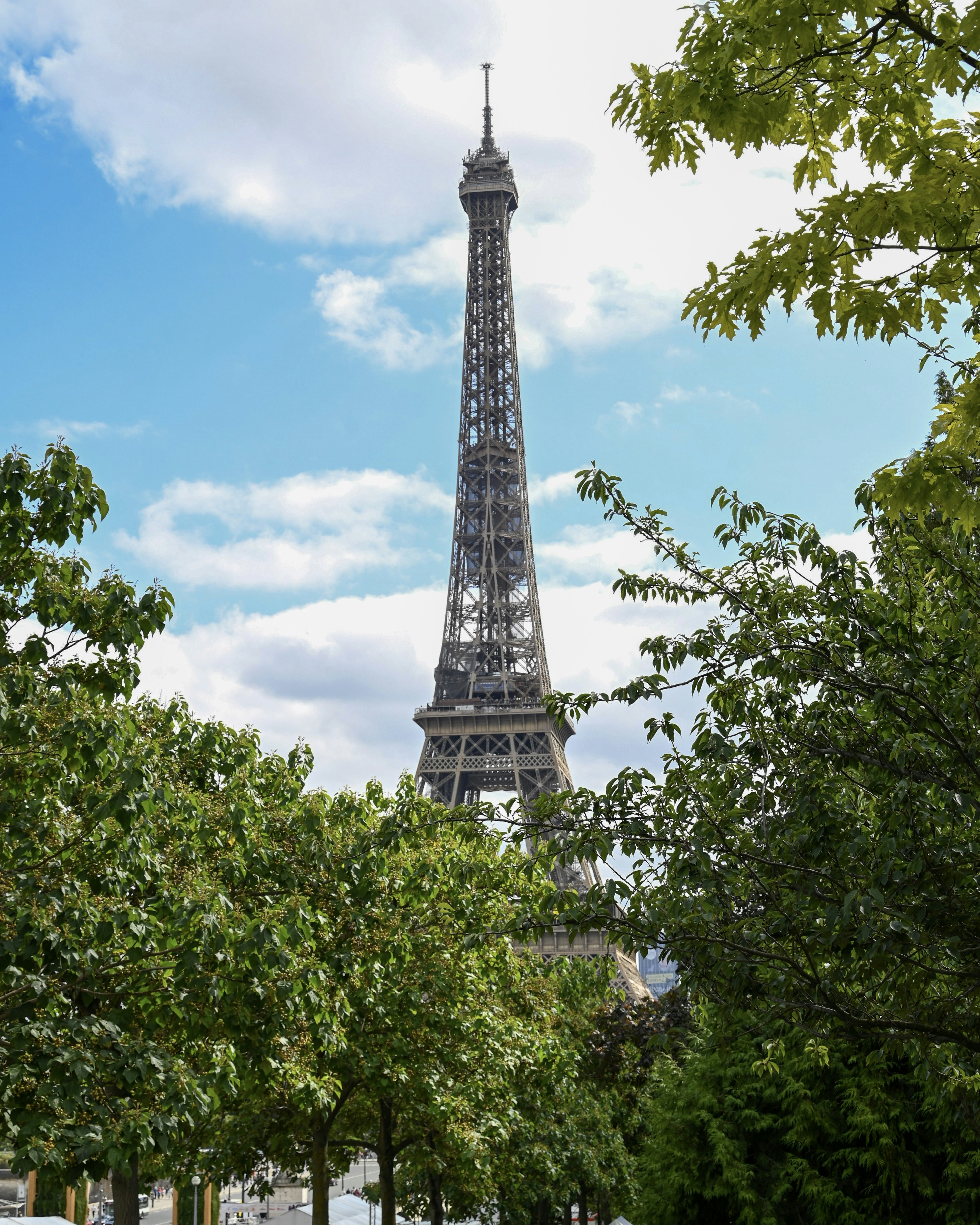 Eiffel Tower Emerges Through a Canopy of Parisian Foliage