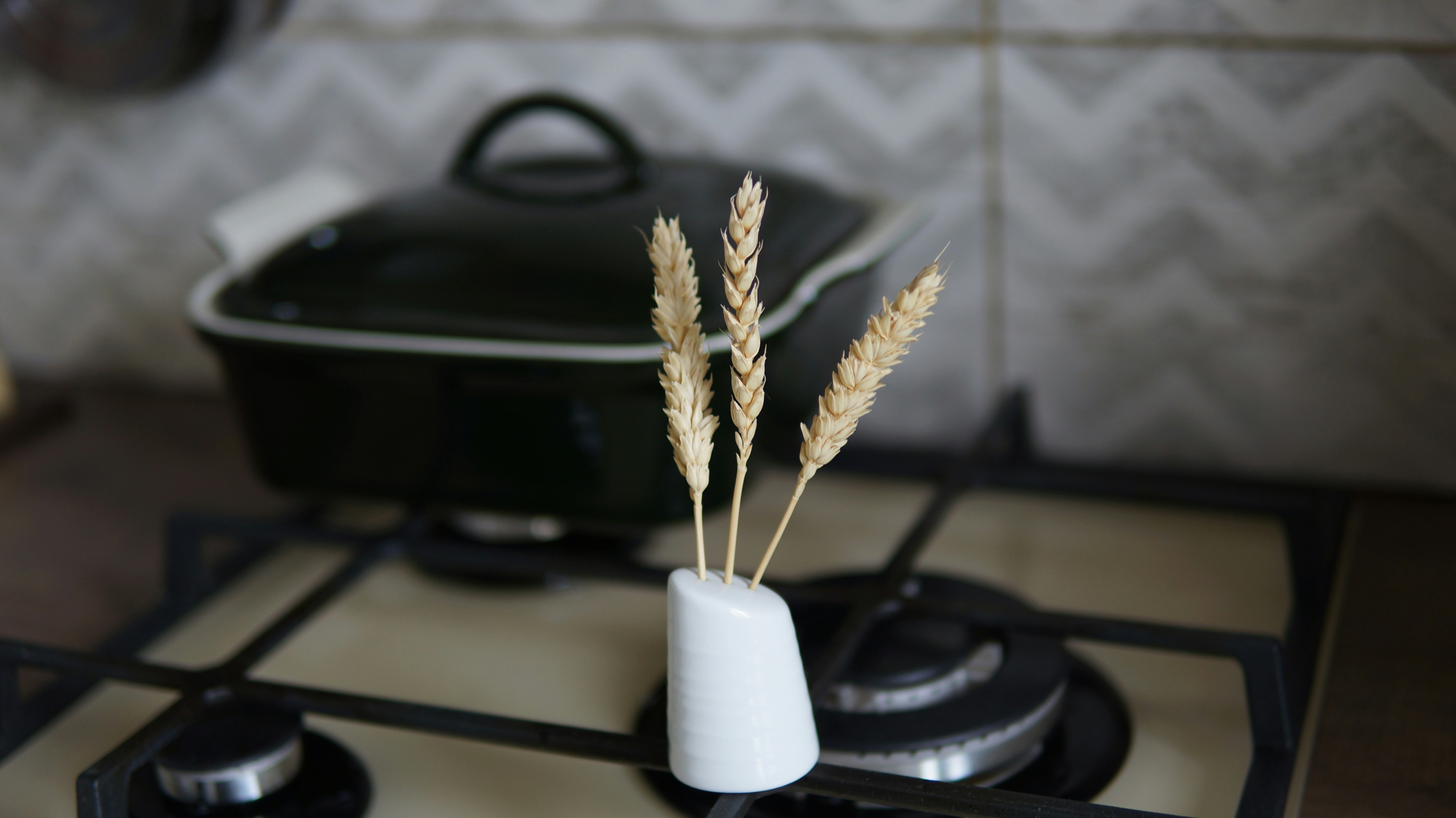 Whispers of Nature in a Modern Kitchen