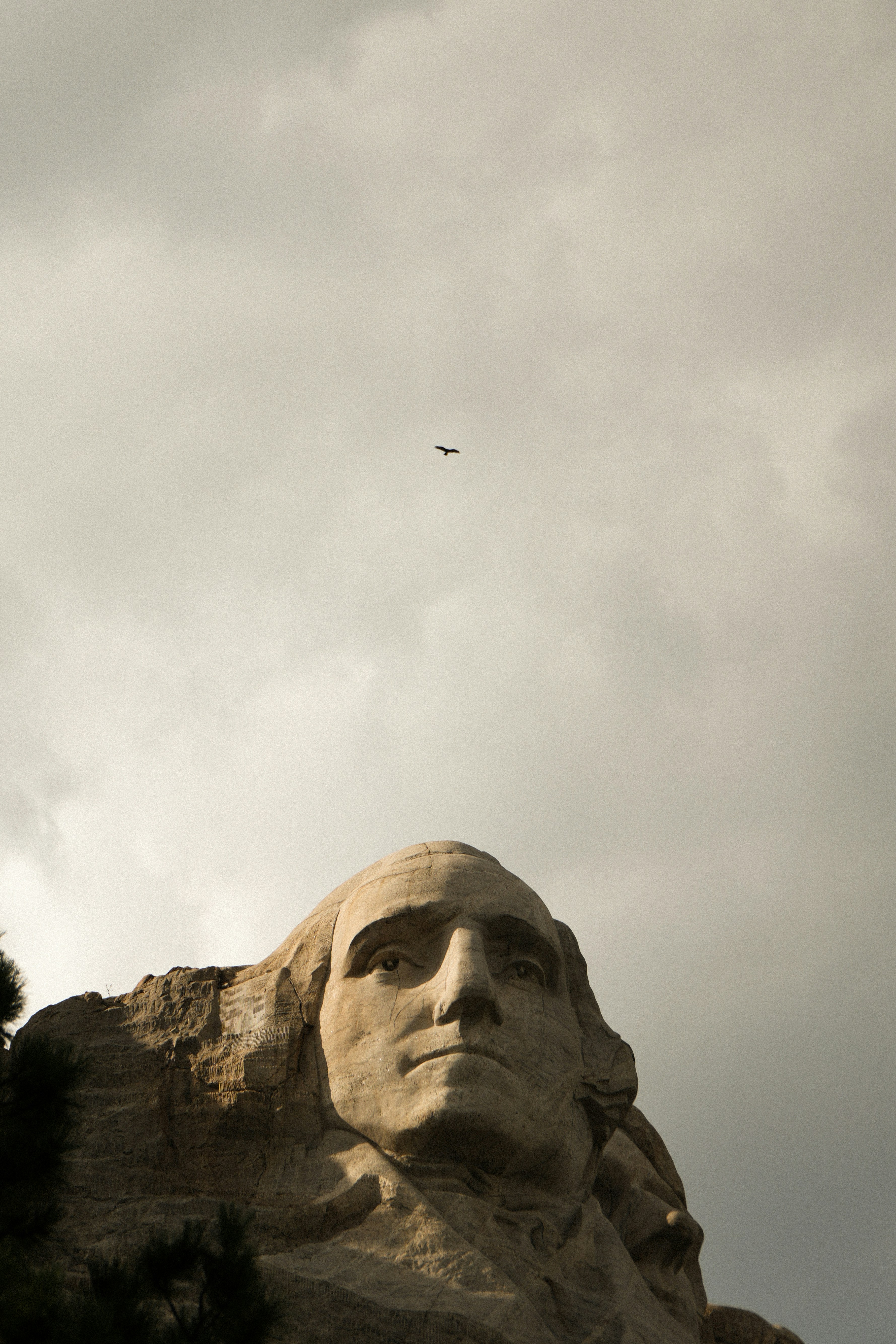 Photo by Jake Kling with Sony FX30