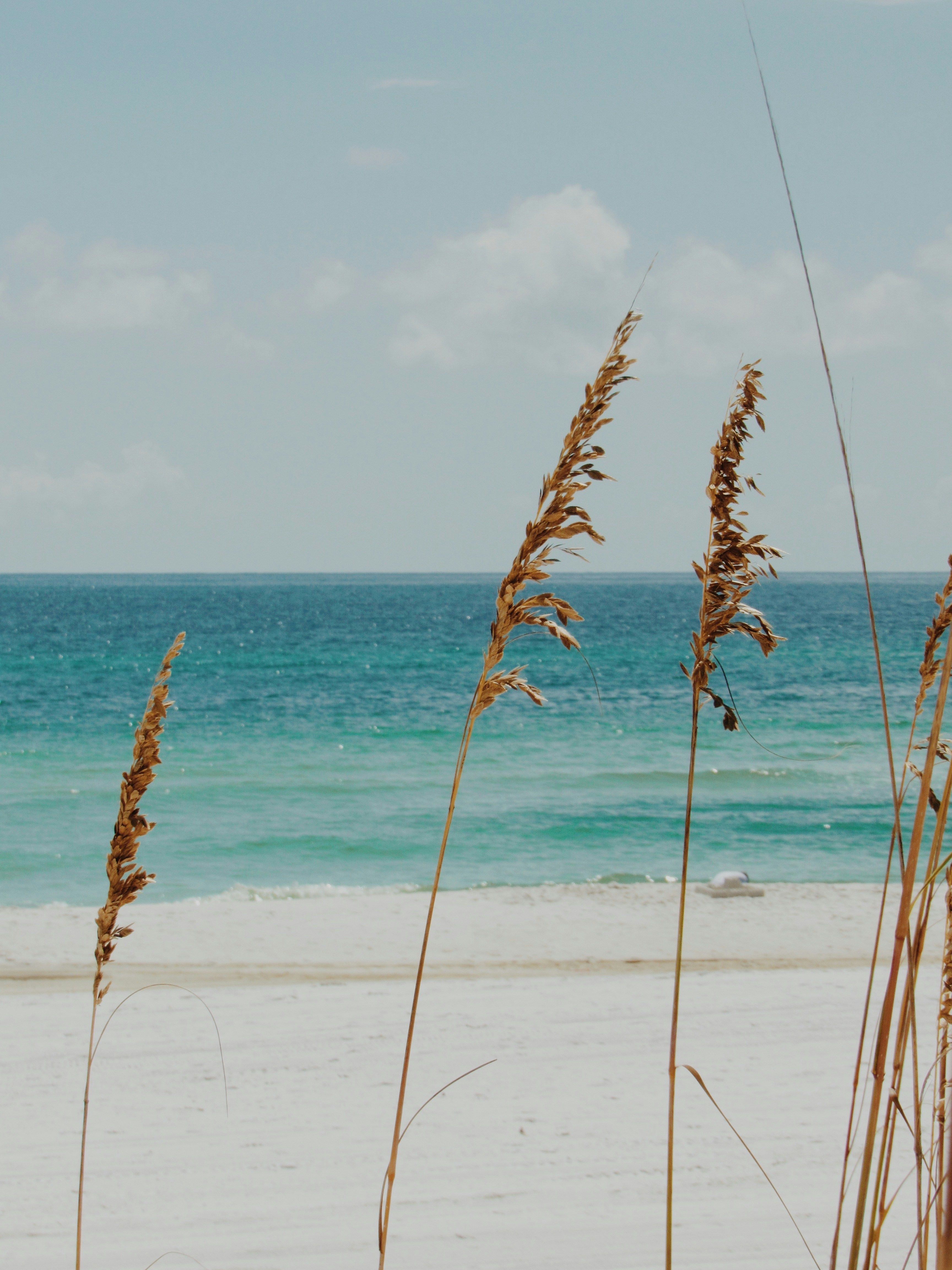 A view of the ocean from a sandy beach photo – Free Pensacola beach ...