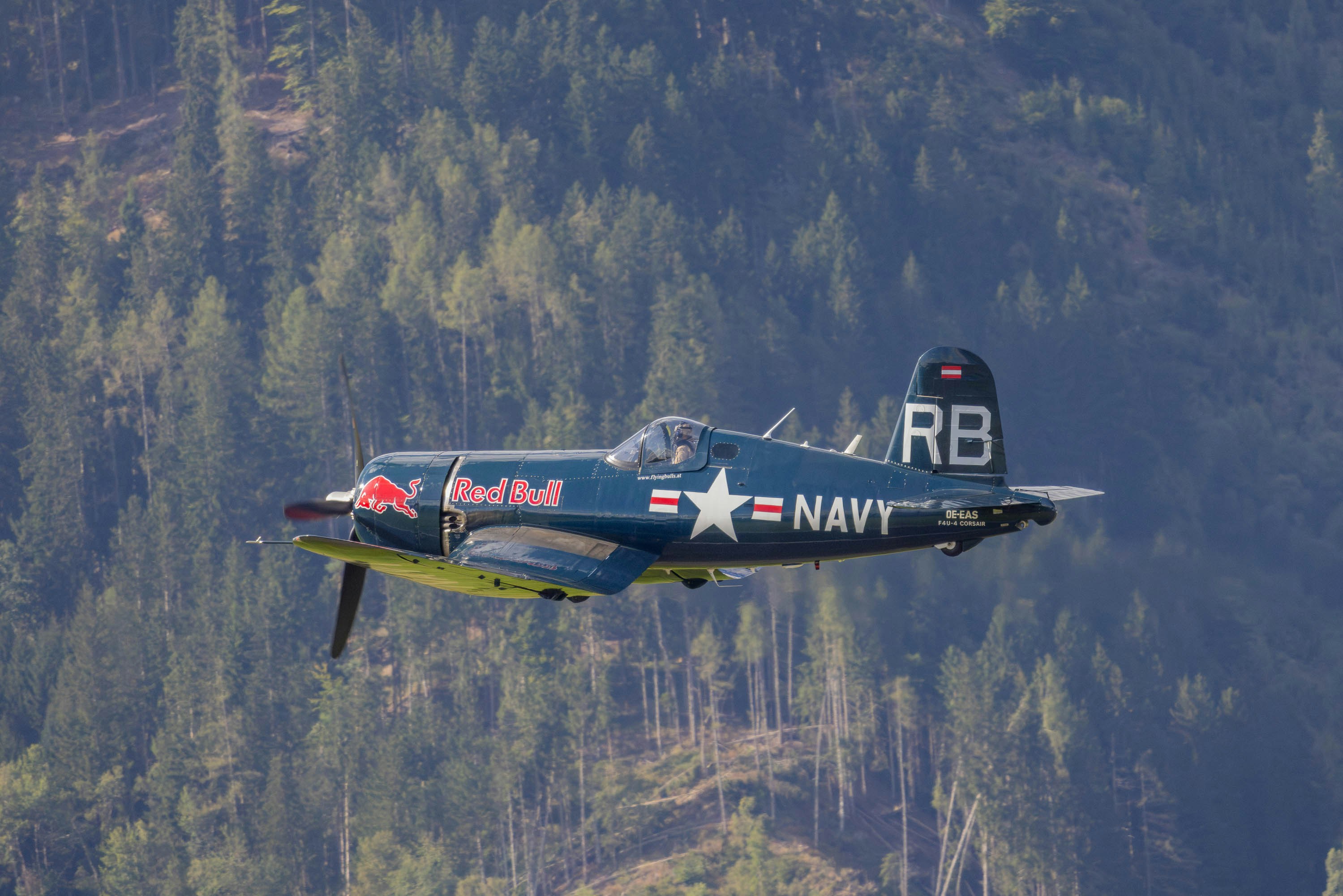 A blue and white fighter jet flying over a forest photo – Free Zeltweg ...
