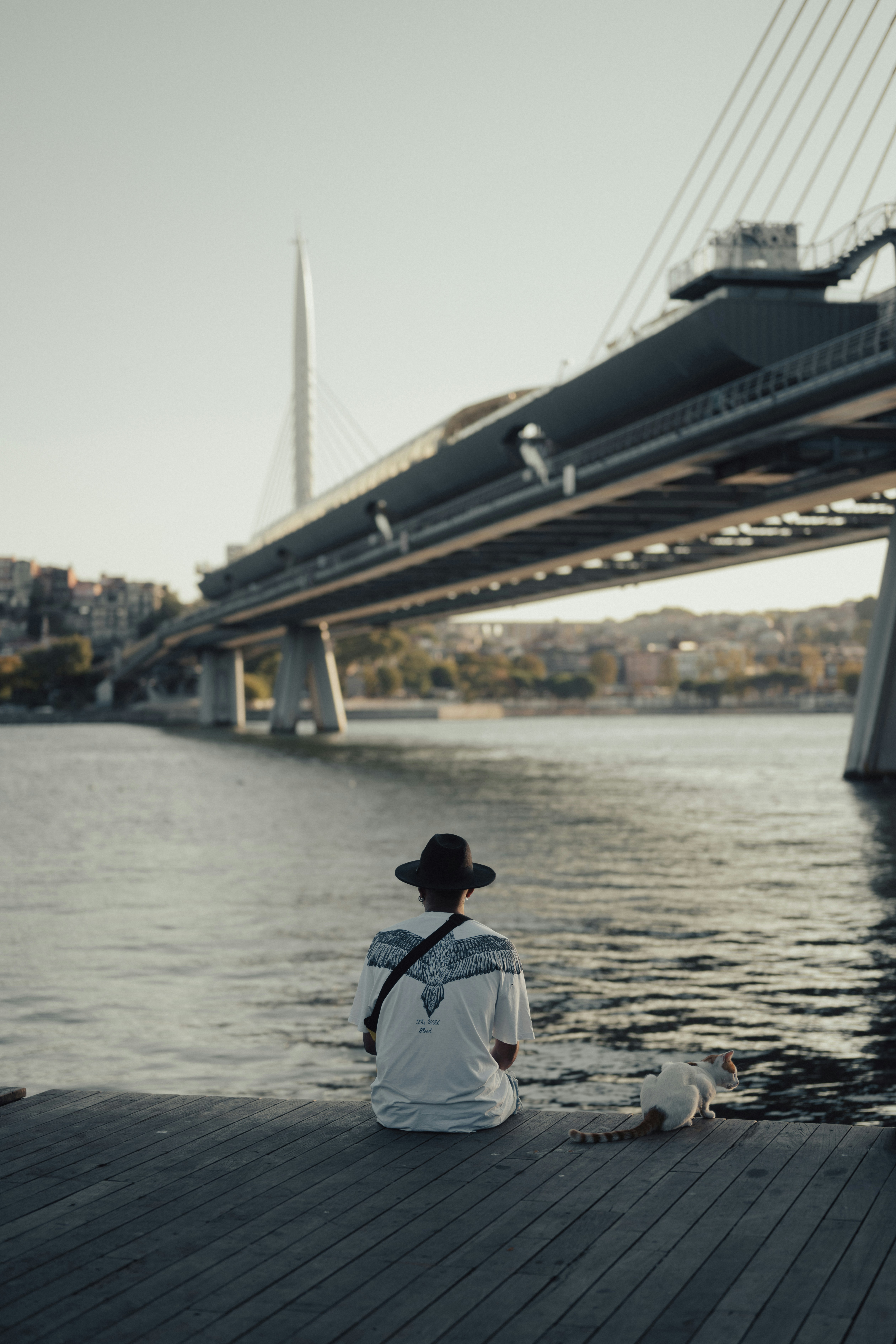 Harbor Quiet: A Hat, a Dock, and a Cat Under the Bridge