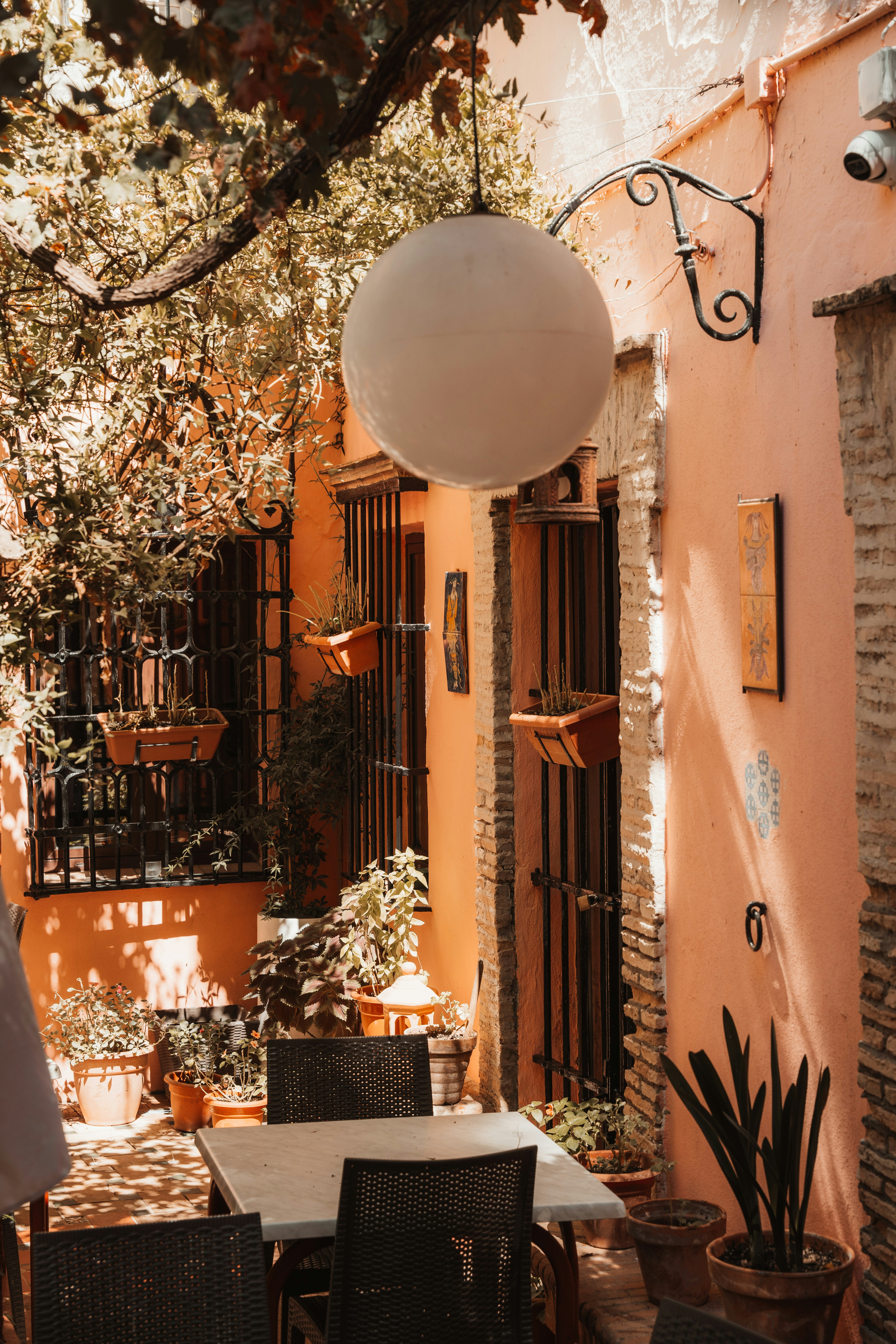 Photo by Raphael Nicolas with Sony Alpha 7 IV