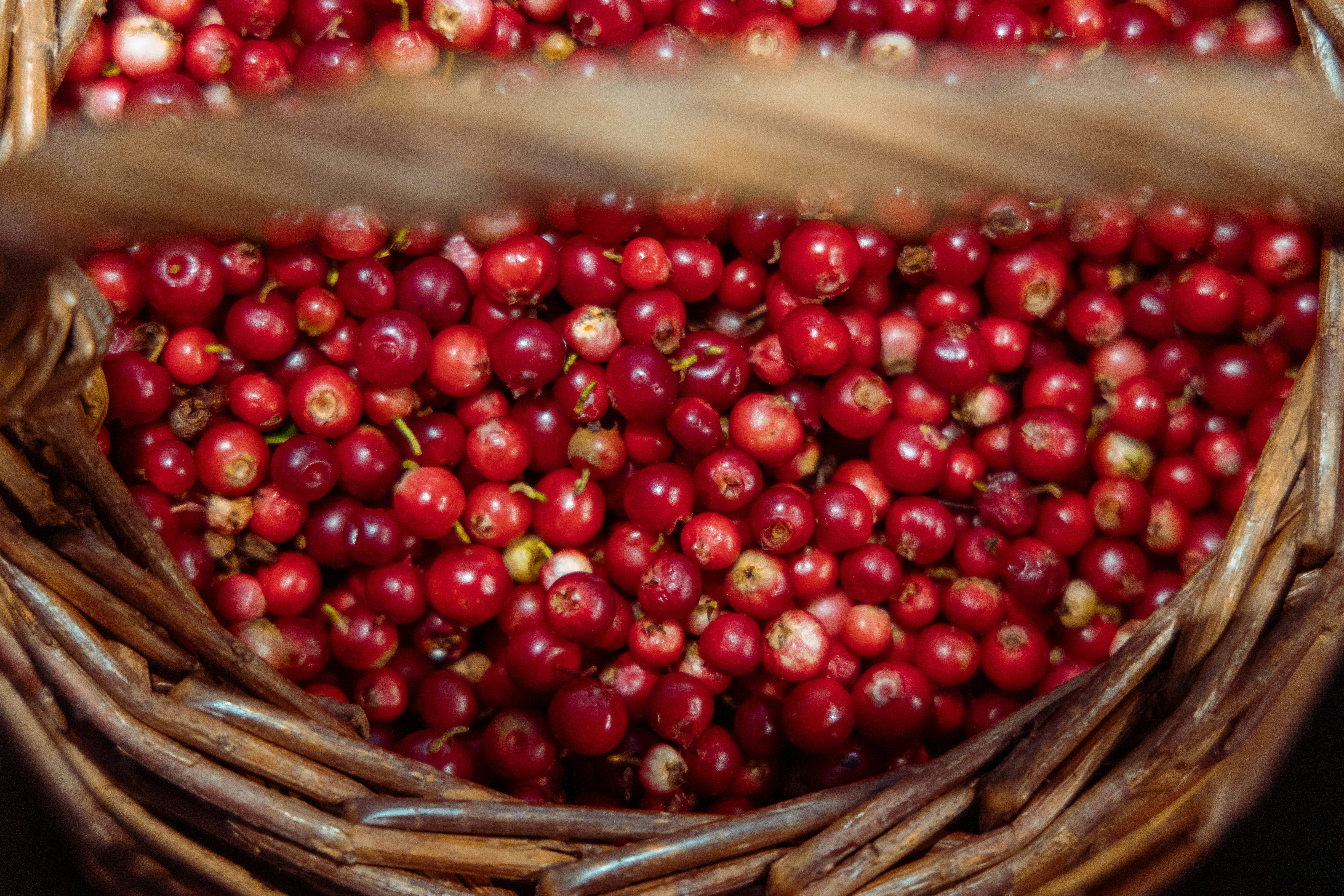 Crimson Harvest in a Wicker Basket: a Macro Portrait of Tiny Reds