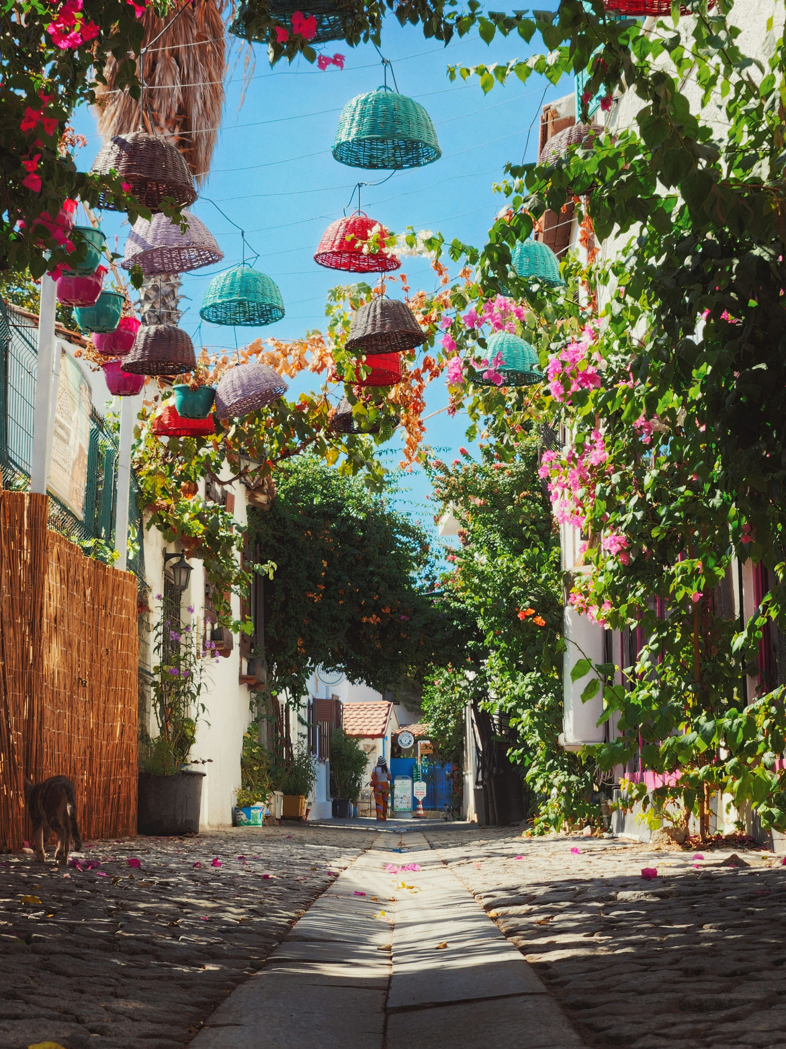 Vibrant alley lined with flowering vines and hanging lanterns under a bright blue sky, with a cobblestone path leading into the distance. A colorful, festive scene with natural light and lush greenery.