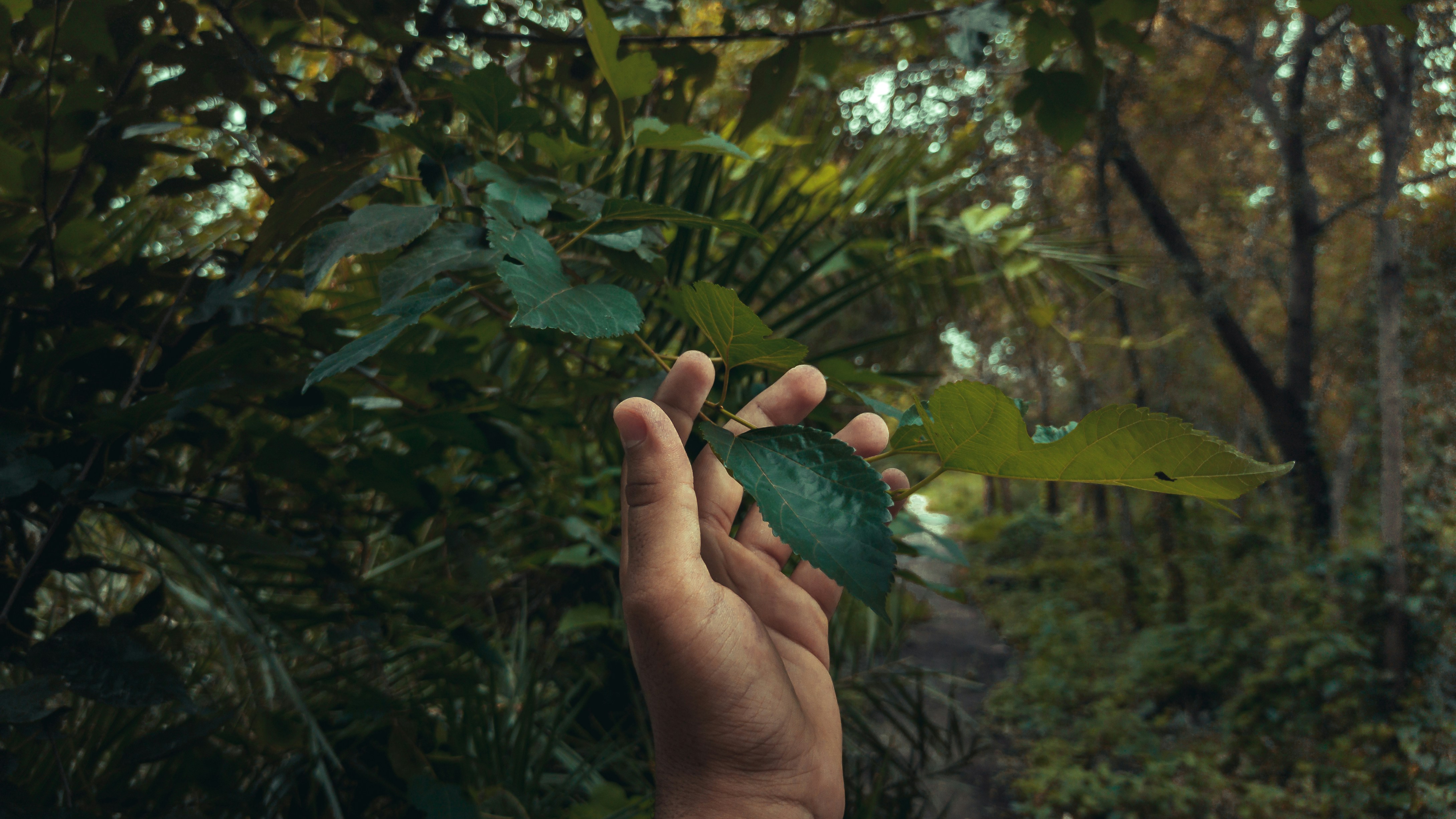 Mohit Kumar (@sum__mohith) | Unsplash Photo Community