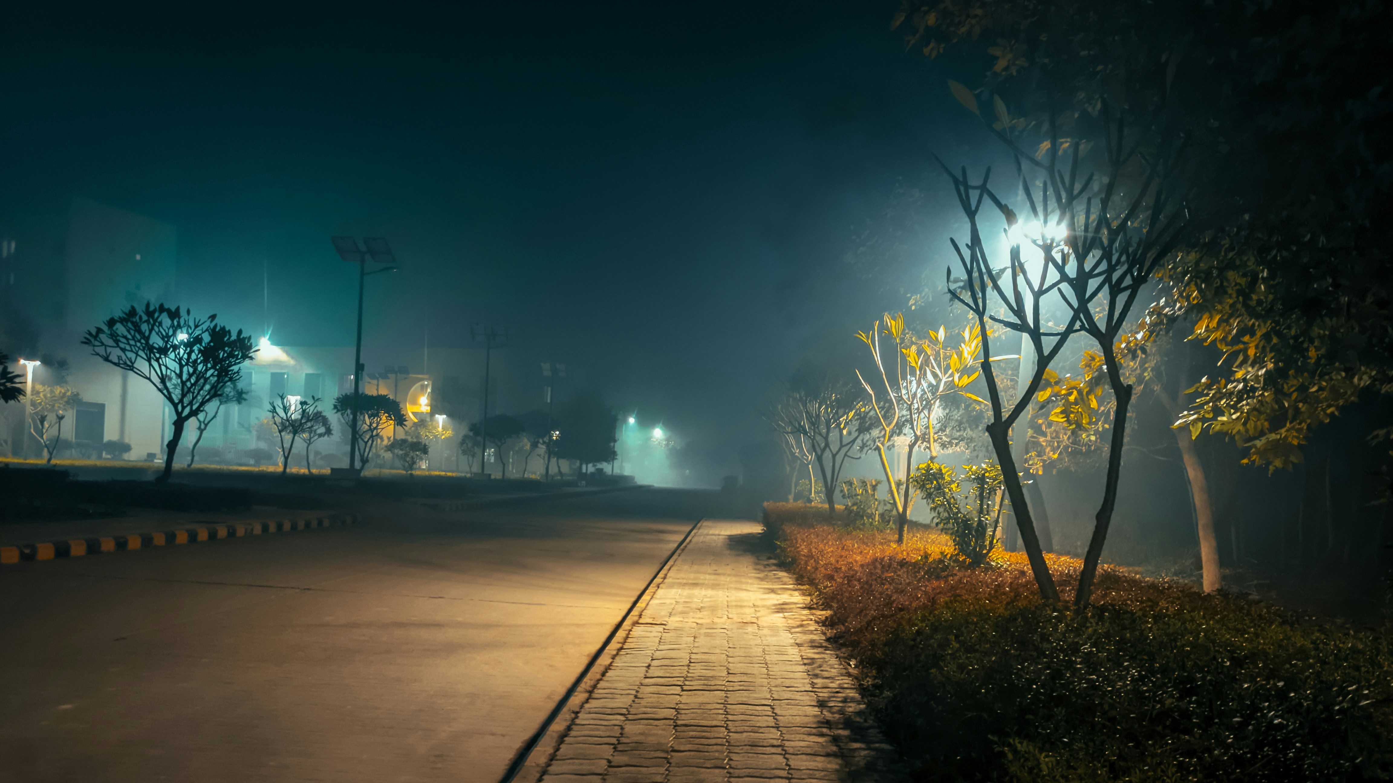 Mohit Kumar (@sum__mohith) | Unsplash Photo Community