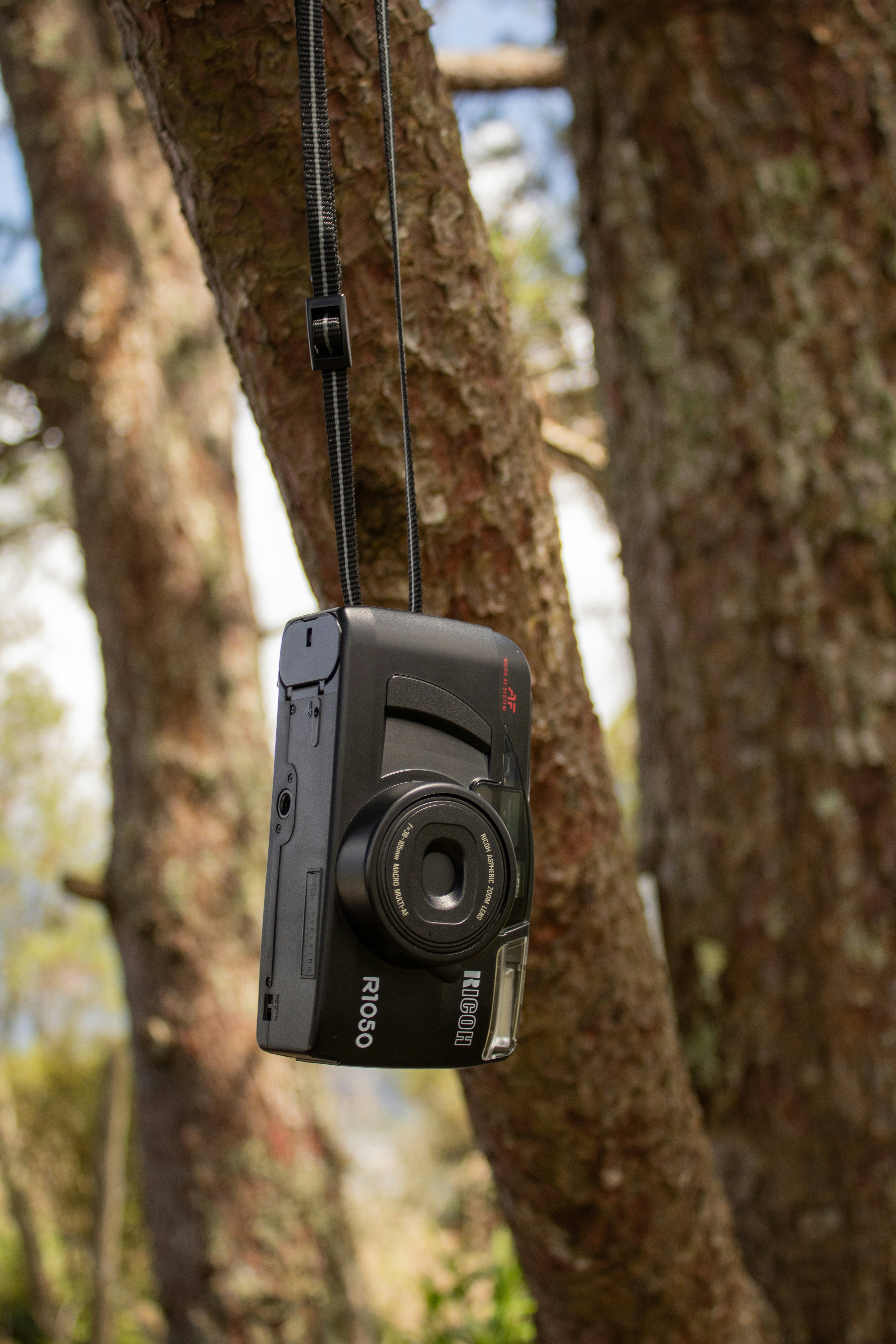 A camera hanging from a tree in a forest photo – Free Wallpaper for ...