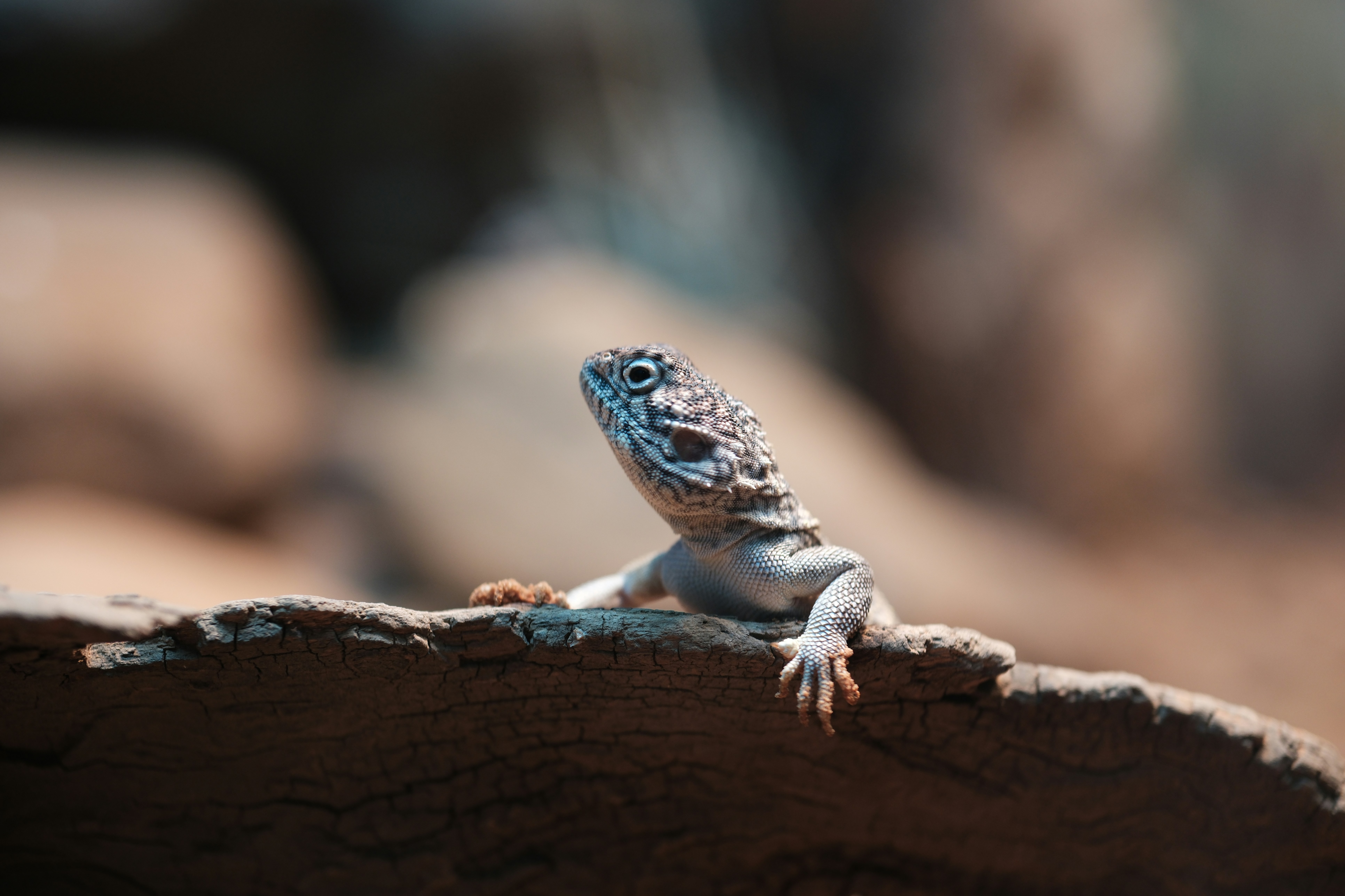 Photo by Simone Dinoia with Fujifilm X-T5