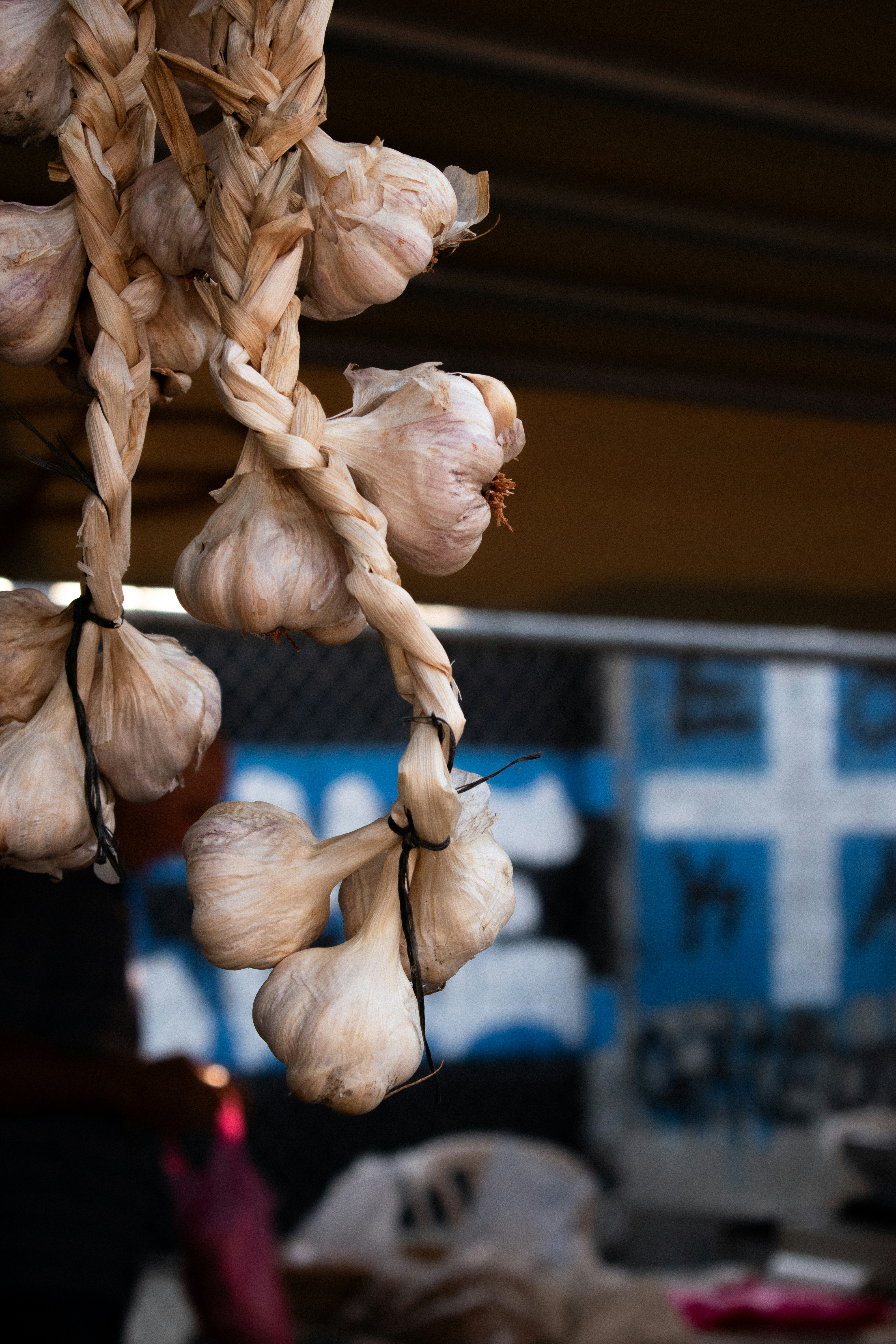 A bunch of garlic hanging from a ceiling photo – Free Urban Image on ...