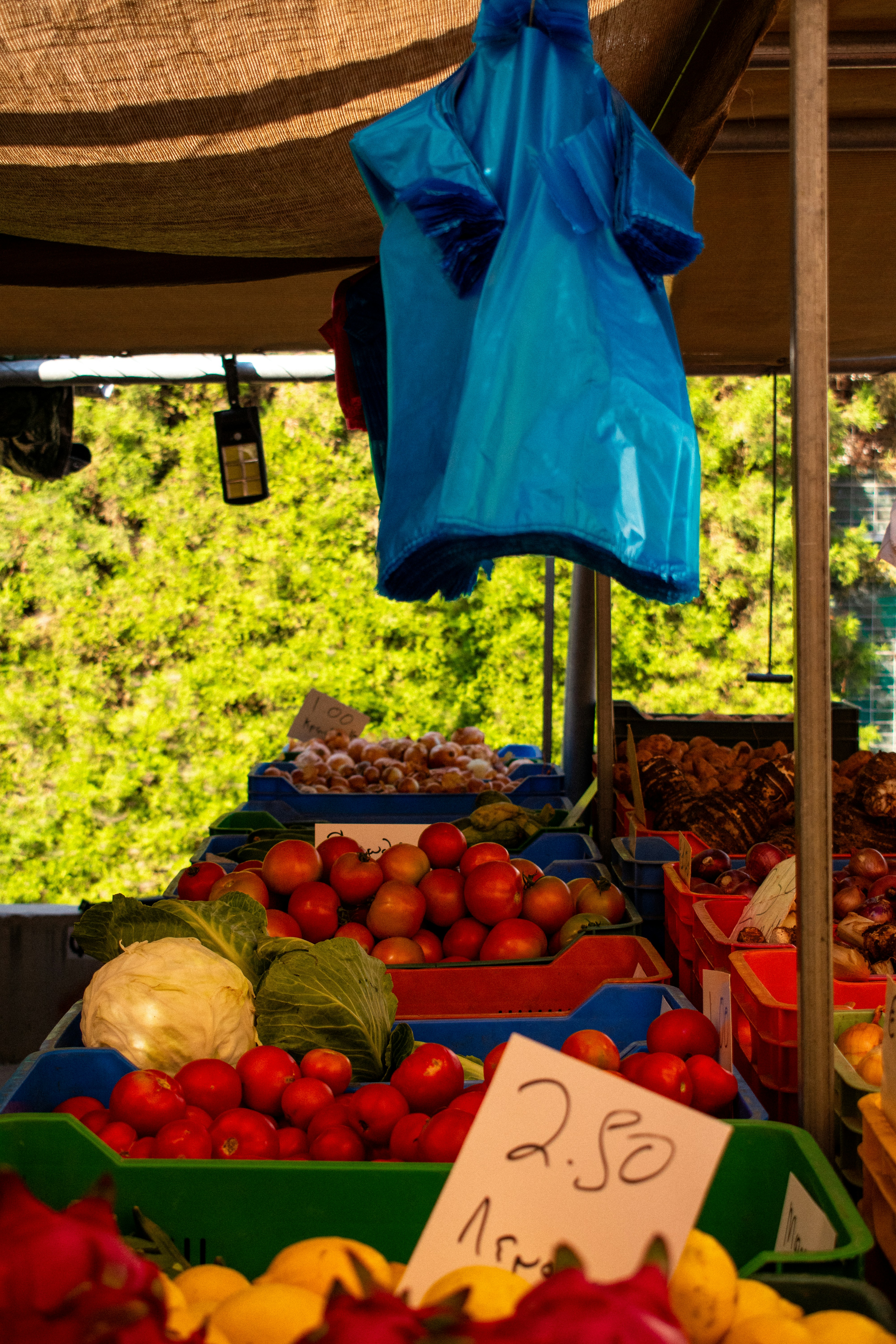 A bunch of fruits and vegetables under a tent photo – Free Vegetable ...