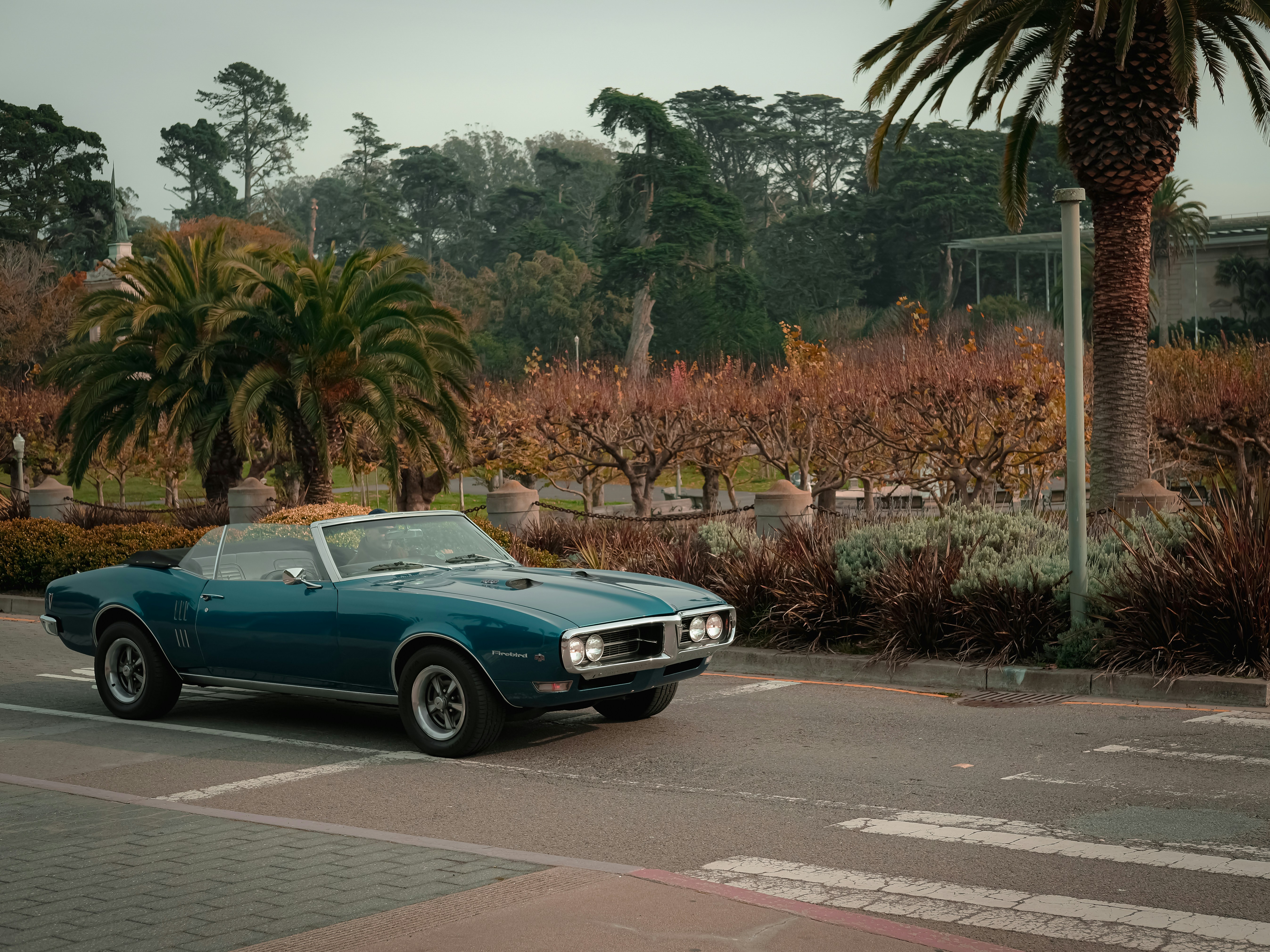 Vintage Elegance on an Autumn Boulevard