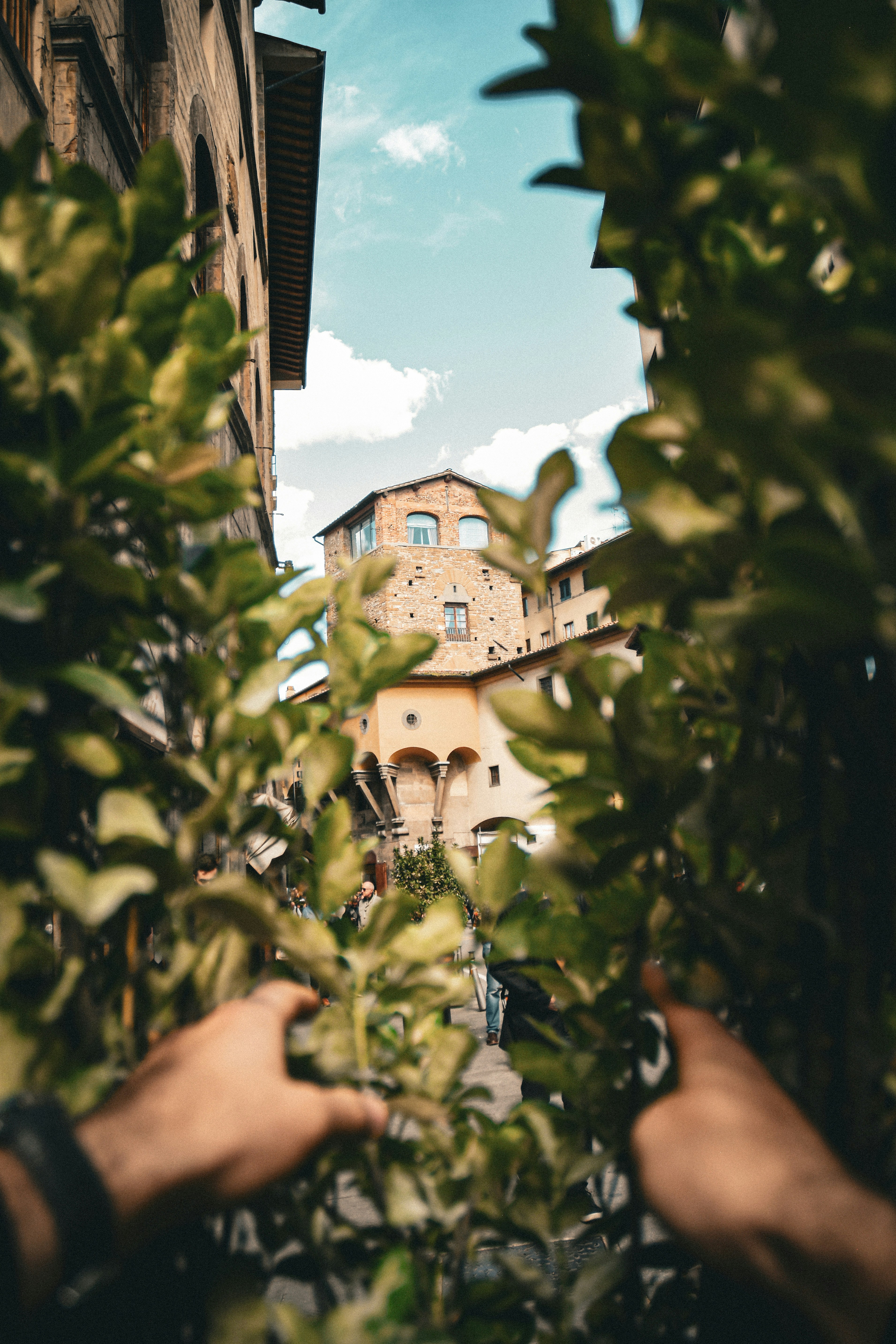 Through a Green Corridor to a Sunlit Brick Courtyard