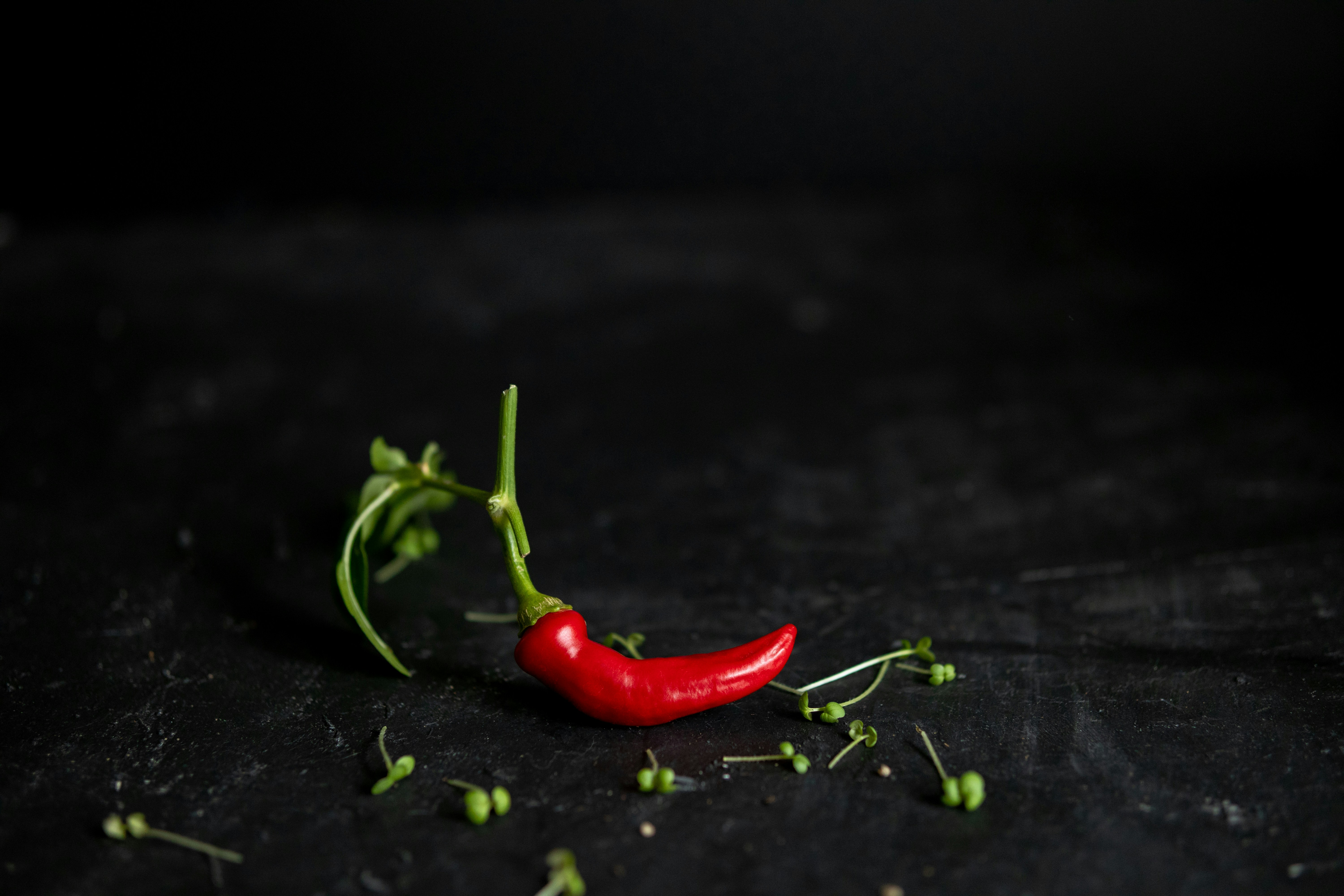 Daddy Pepper Photo Pictures | Download Free Images on Unsplash