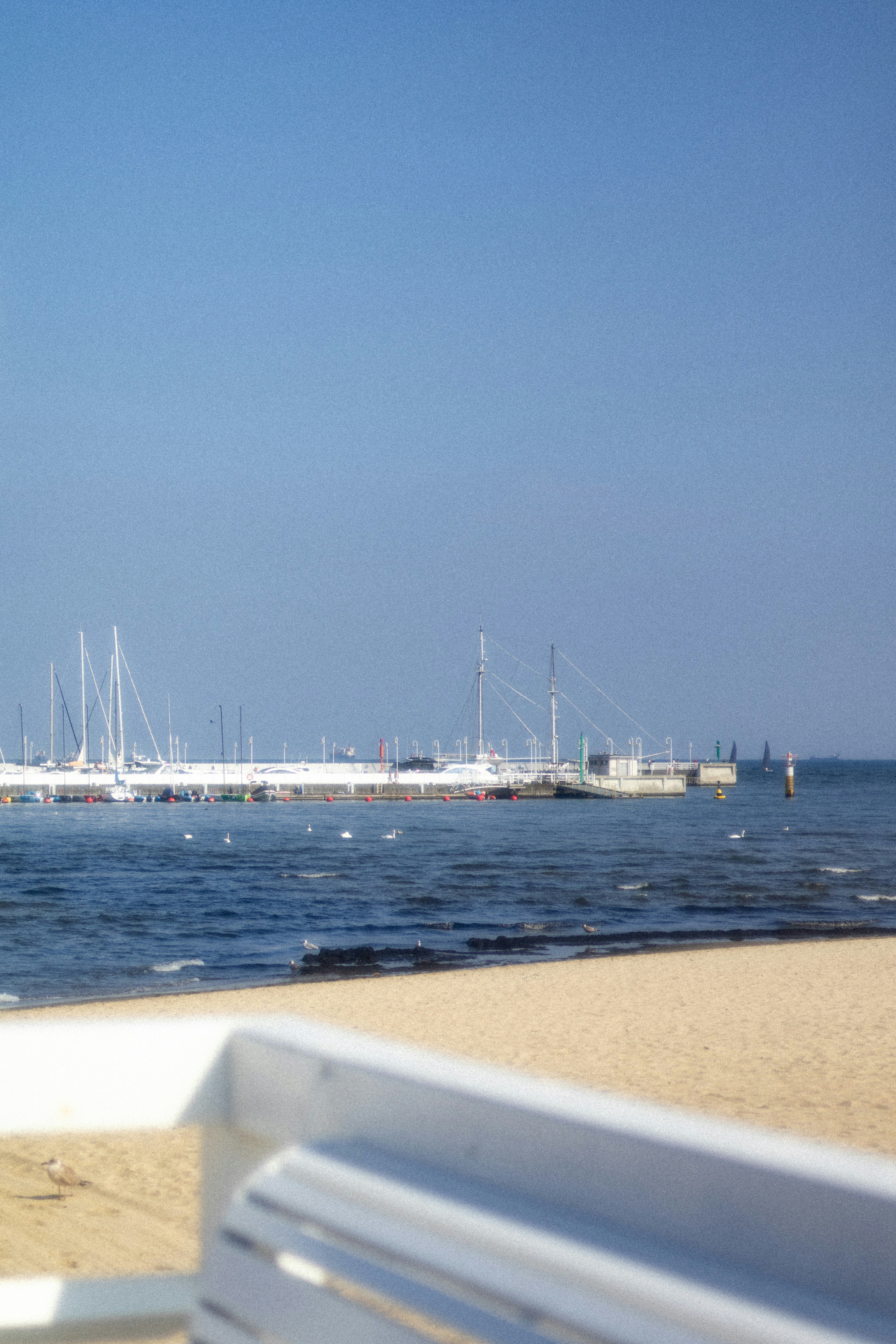 Harbor Masts on a Quiet Blue Horizon