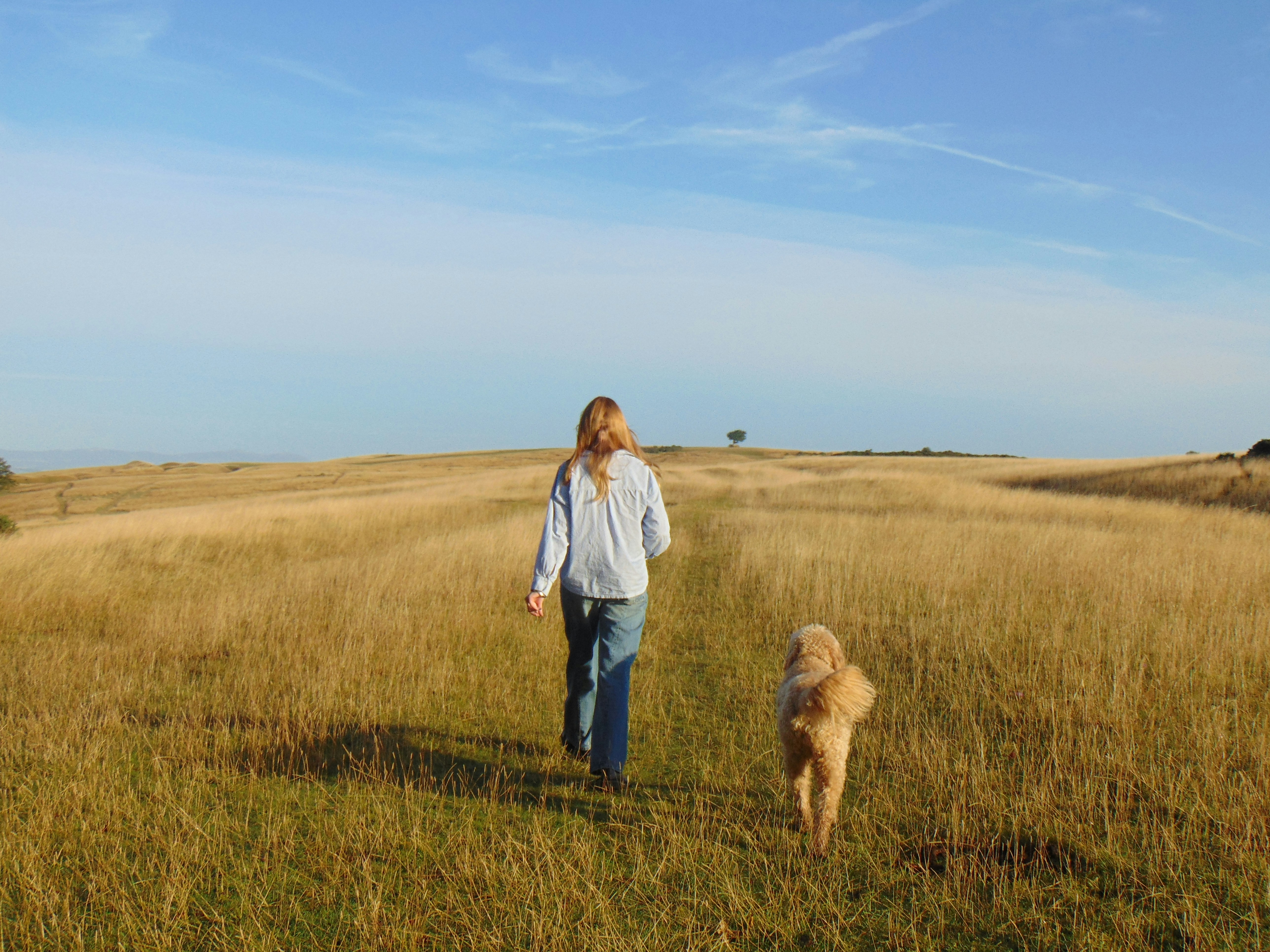 A woman and a dog walking through a field photo – Free Human Image on ...