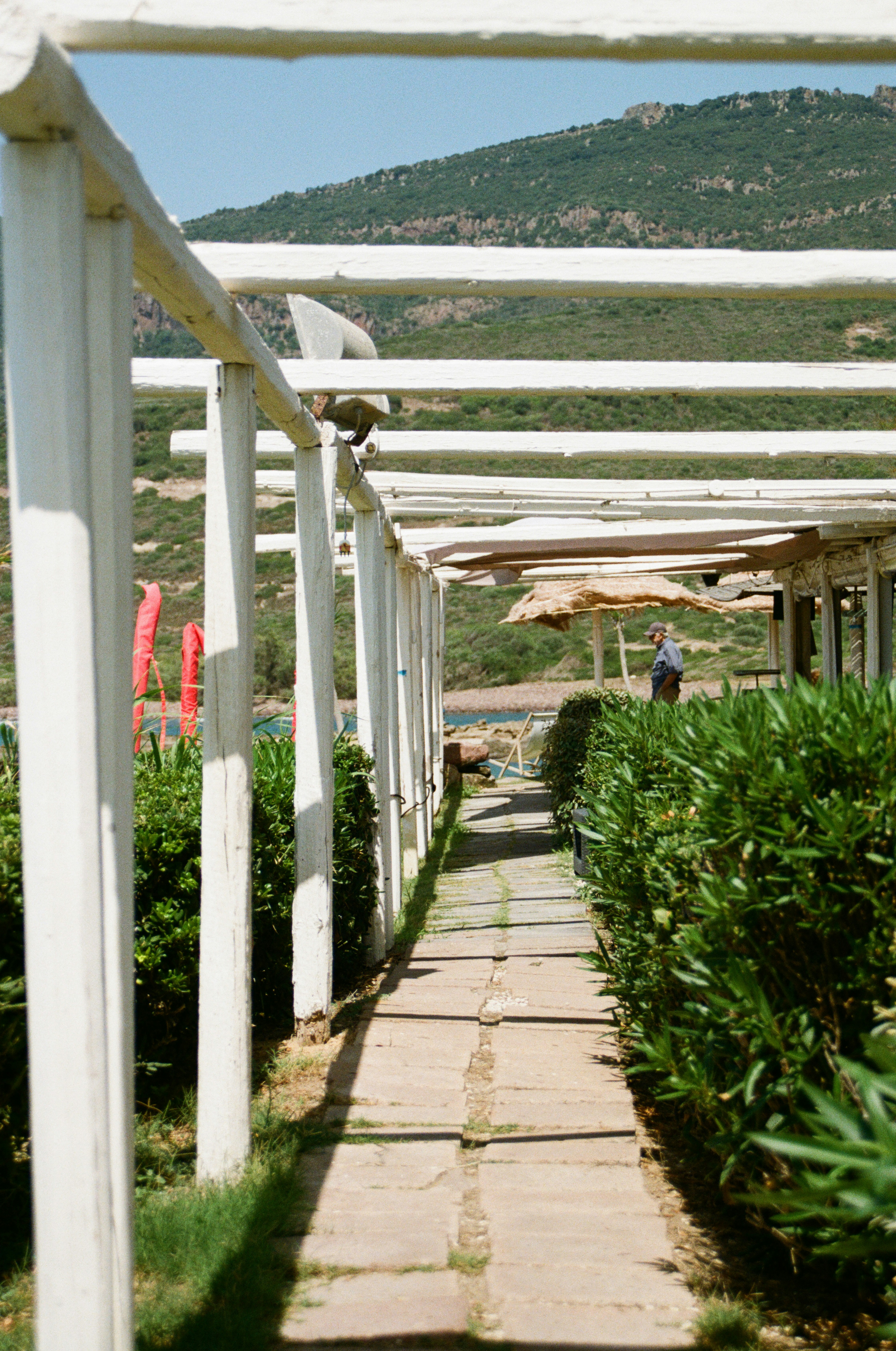 Sunlit walkway under a series of white pergolas leads toward a distant hillside, framed by tidy hedges along a seaside garden.