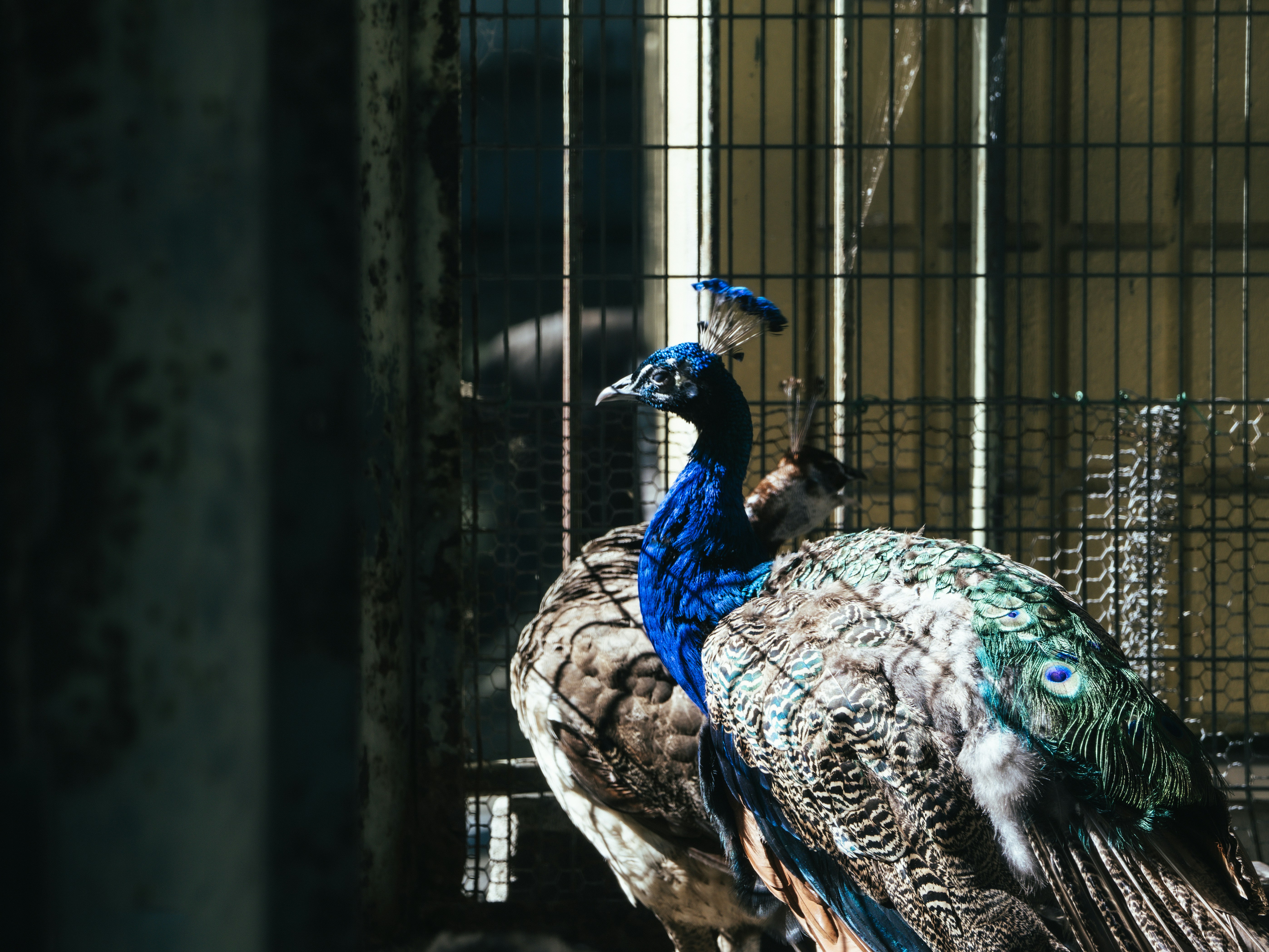 Sample photo from Panasonic Lumix G9 Mark II