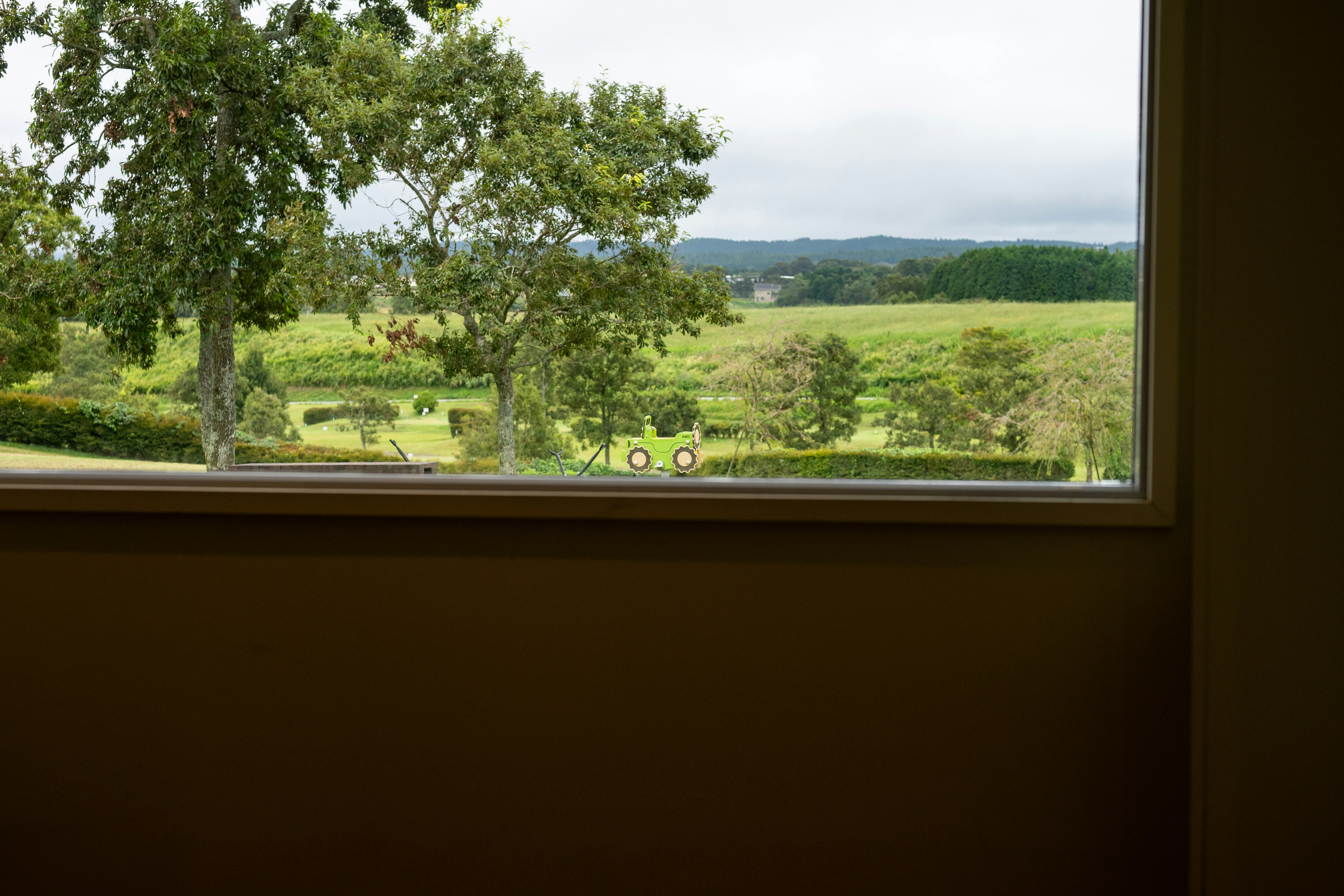 Una ventana con vista a un campo y árboles foto – Imagen de Árbol ...