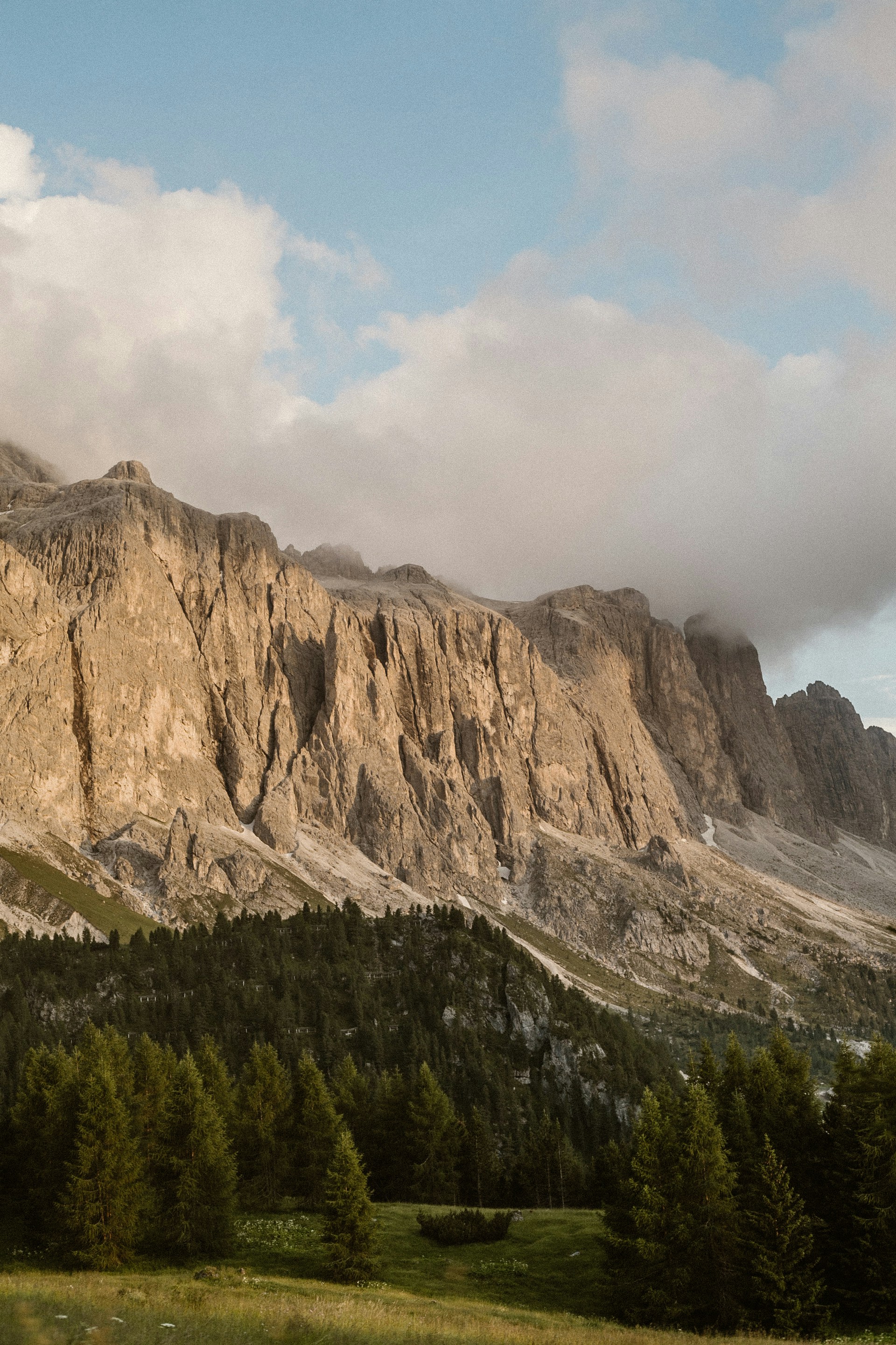 Majestic mountain range shrouded in clouds, with a lush forest in the foreground. The rugged cliffs display intricate textures and natural beauty.