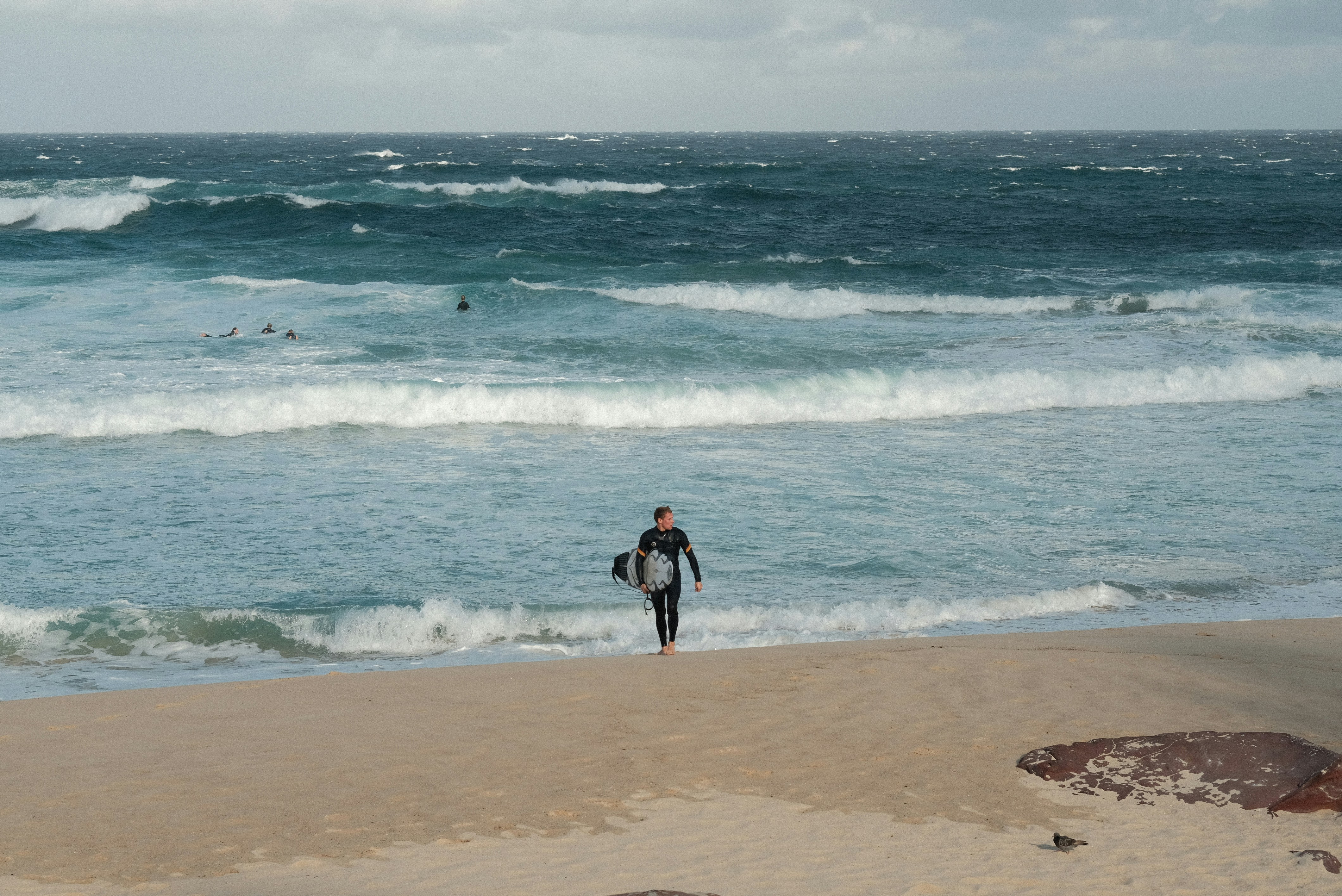 Horizonbound: Lone Surfer Steps Toward the Break
