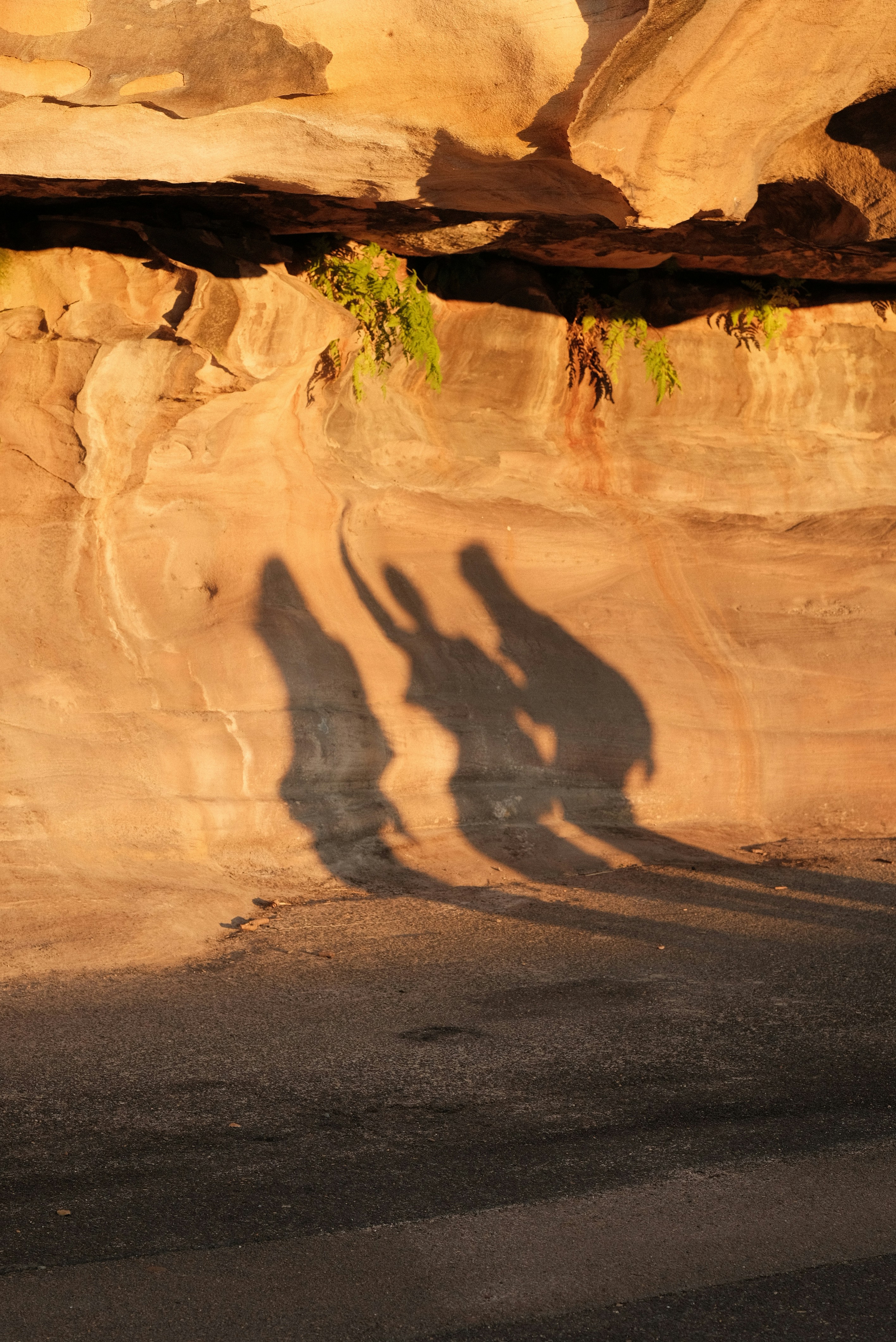 Shadow Parade on Red Rock: Sunlit Silhouettes Across Warm Stone
