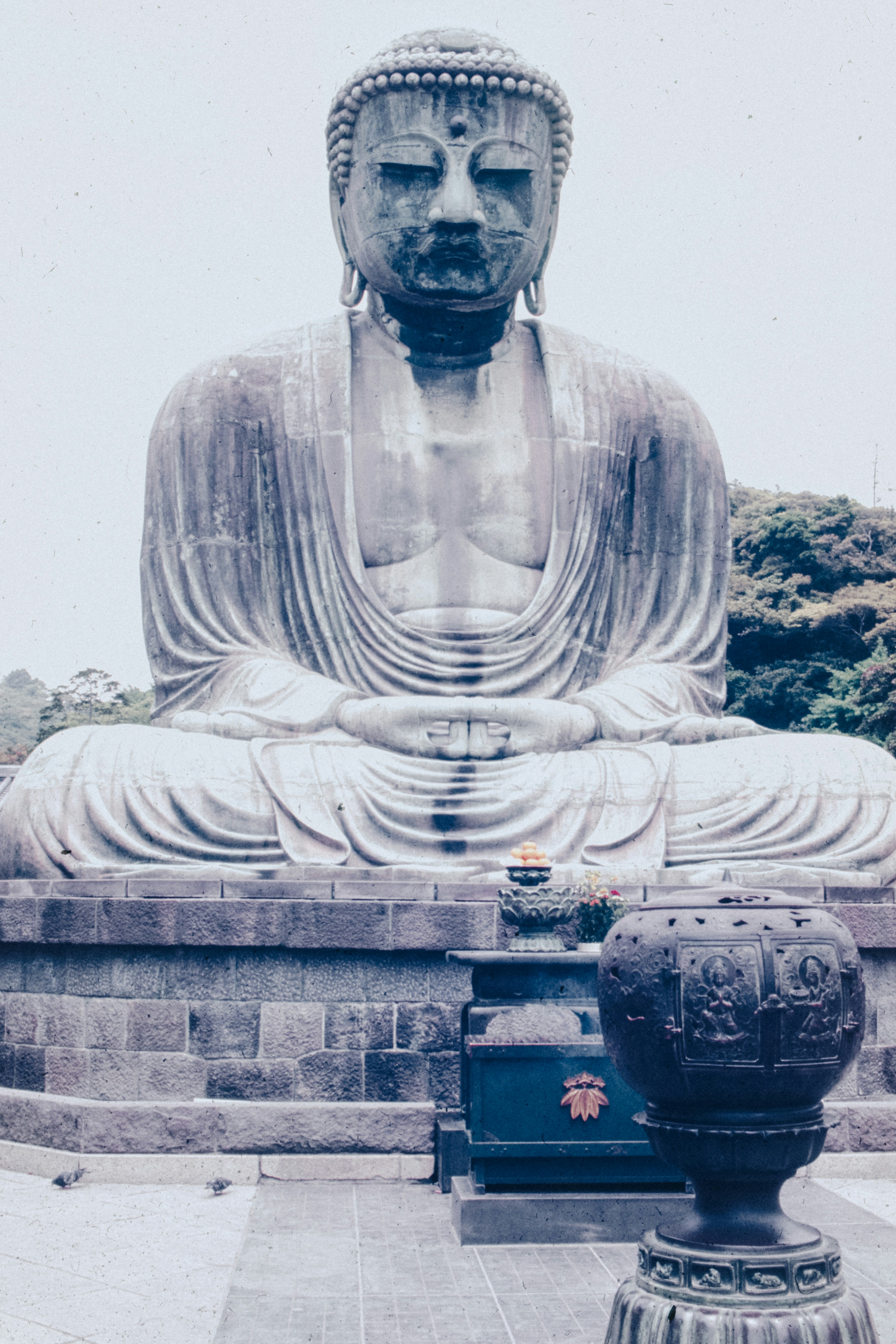 A large buddha statue sitting in a park photo – Free Buddah Image on ...
