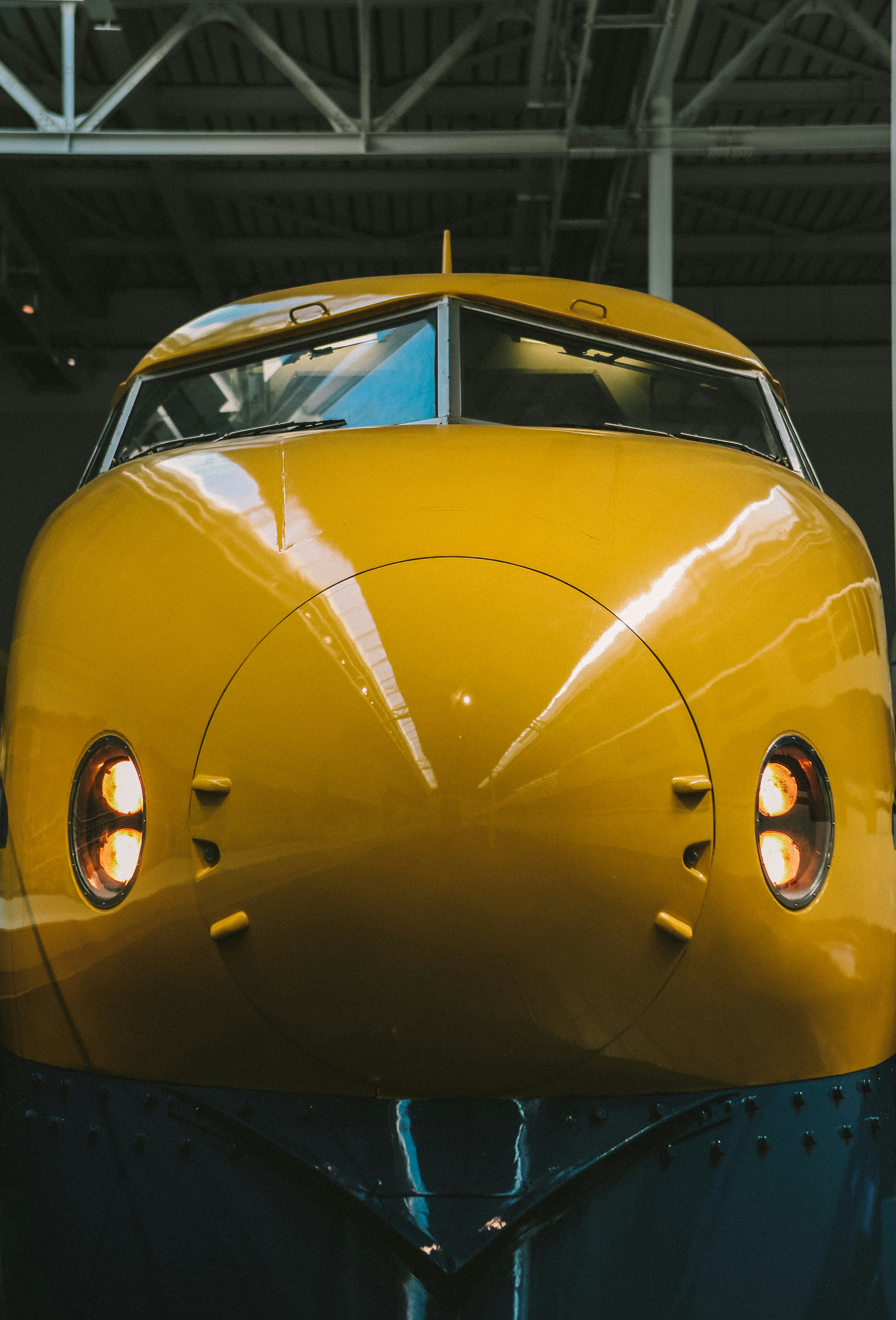The Golden Gaze of Innovation