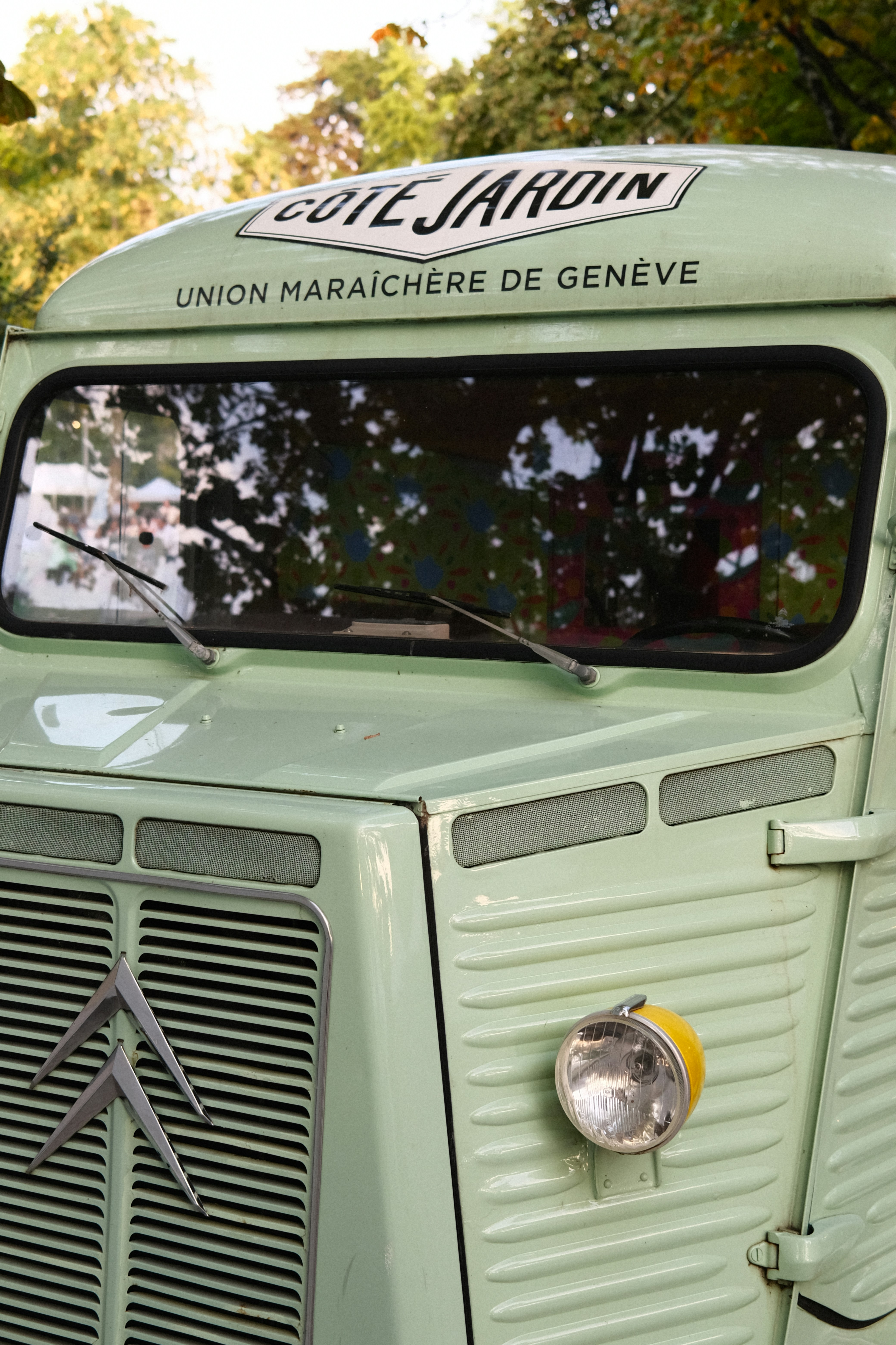 Mint Citroën H Van Under Autumn Canopy