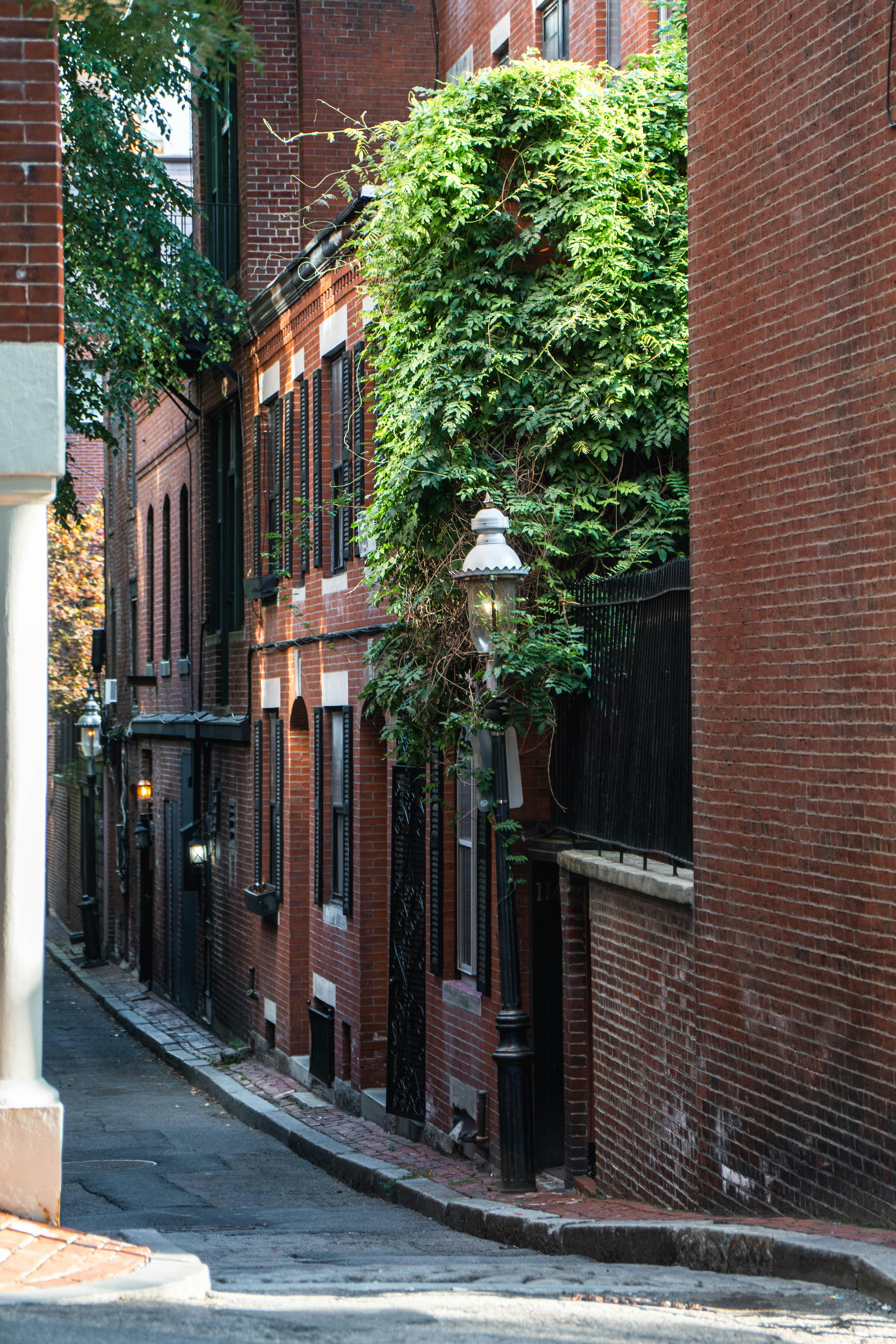 Photo by Taylor Keeran with Sony Alpha 6300